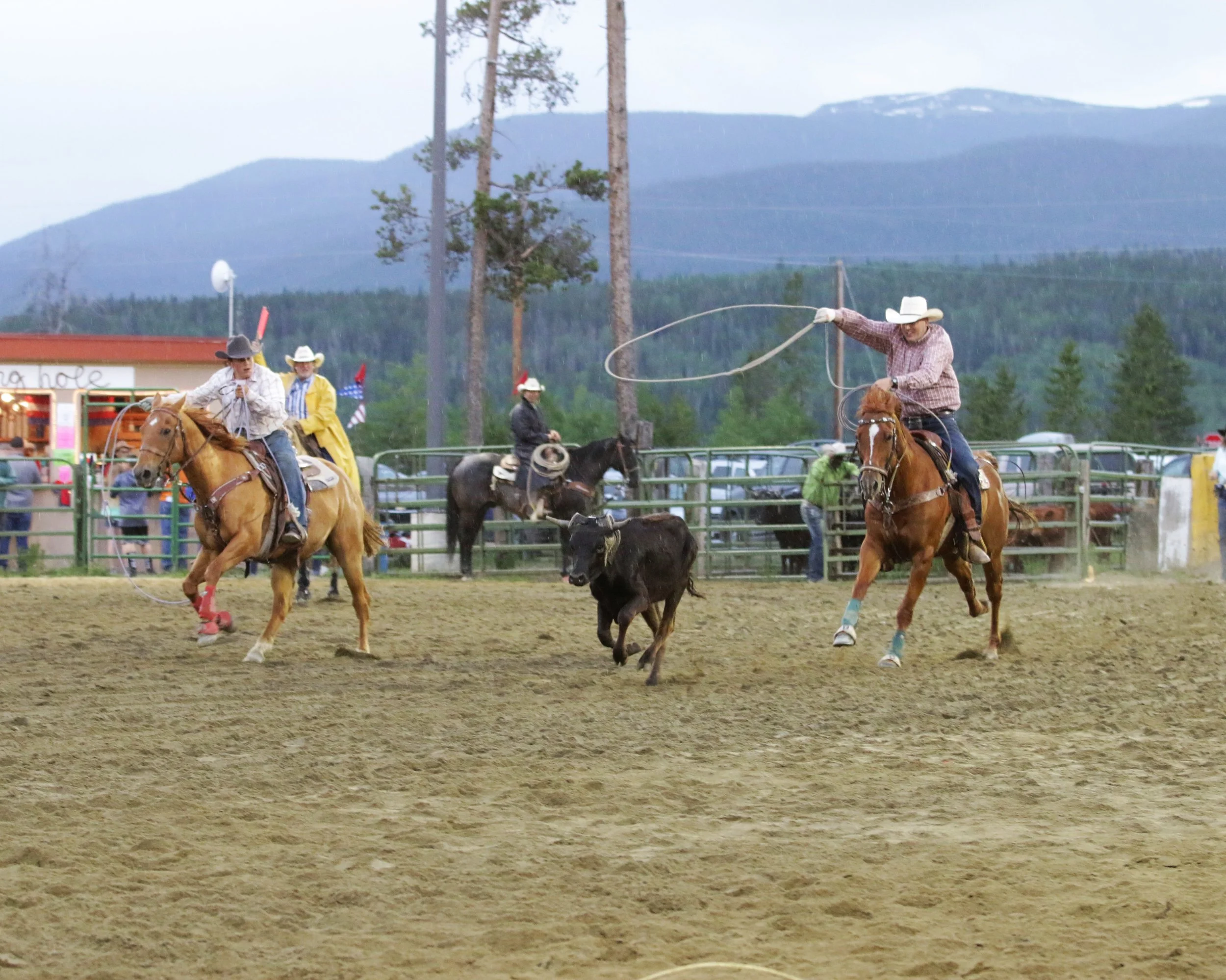High Country Stampede Rodeo