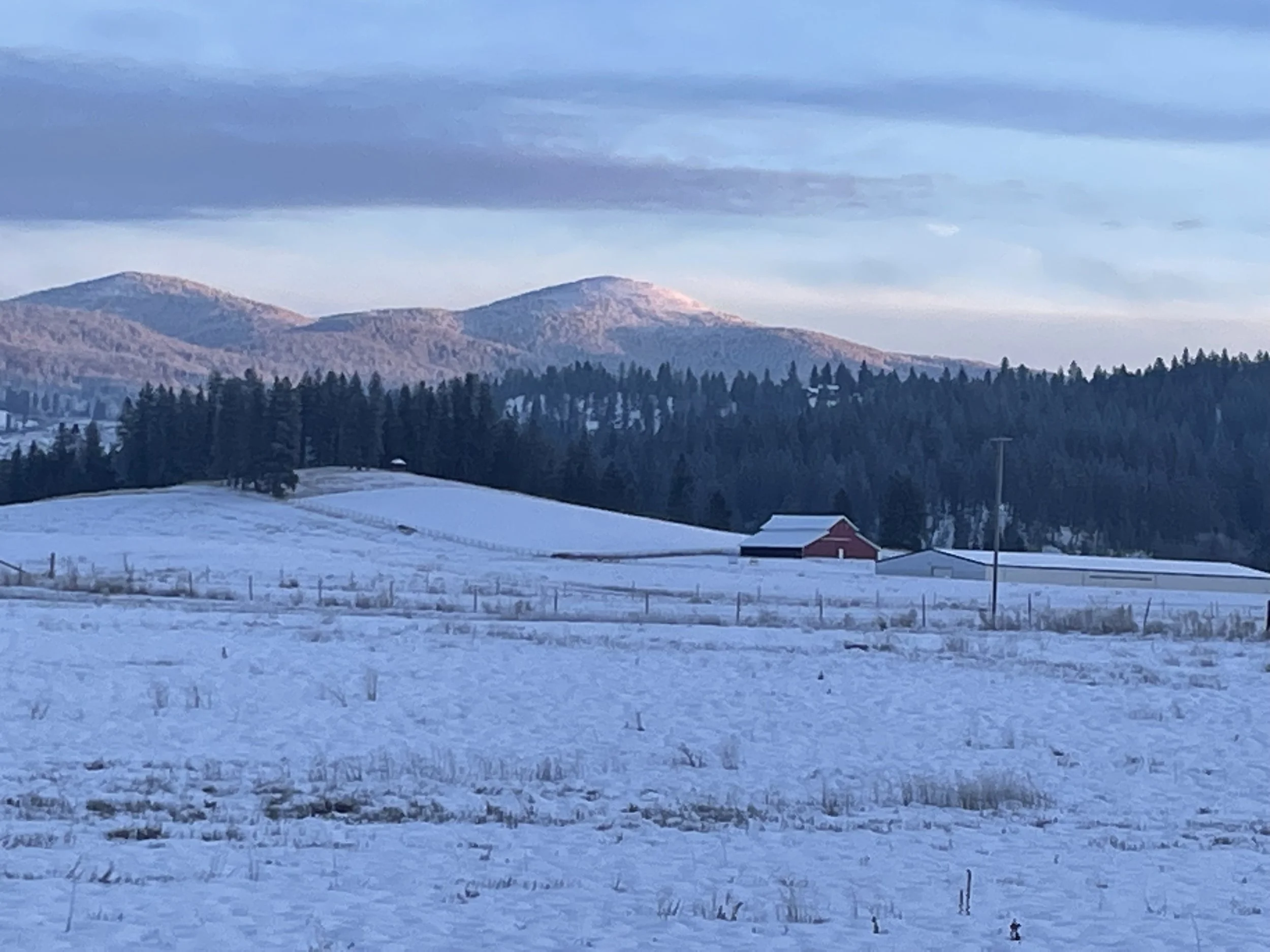 Moose Call — Friends of Mt Spokane