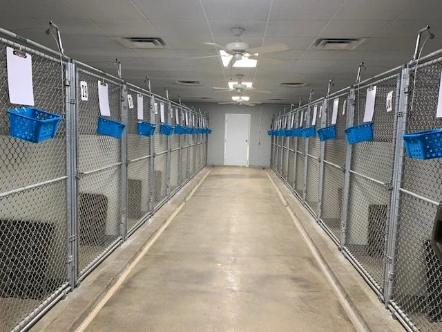 Dogs — Rocky Top Kennel LLC