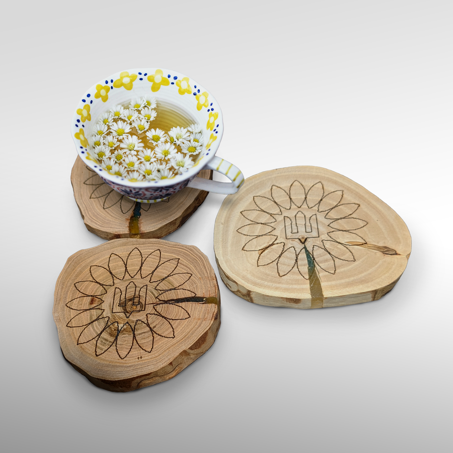Merchandise — Sunflower Seeds Ukraine
