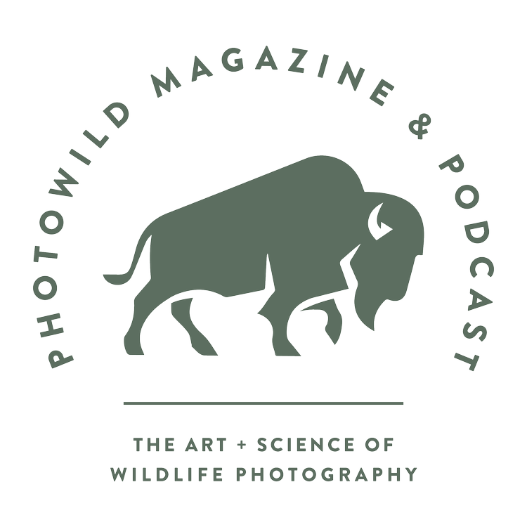 PhotoWILD Magazine: Wildlife Photography Fieldcraft & Animal Behavior ...