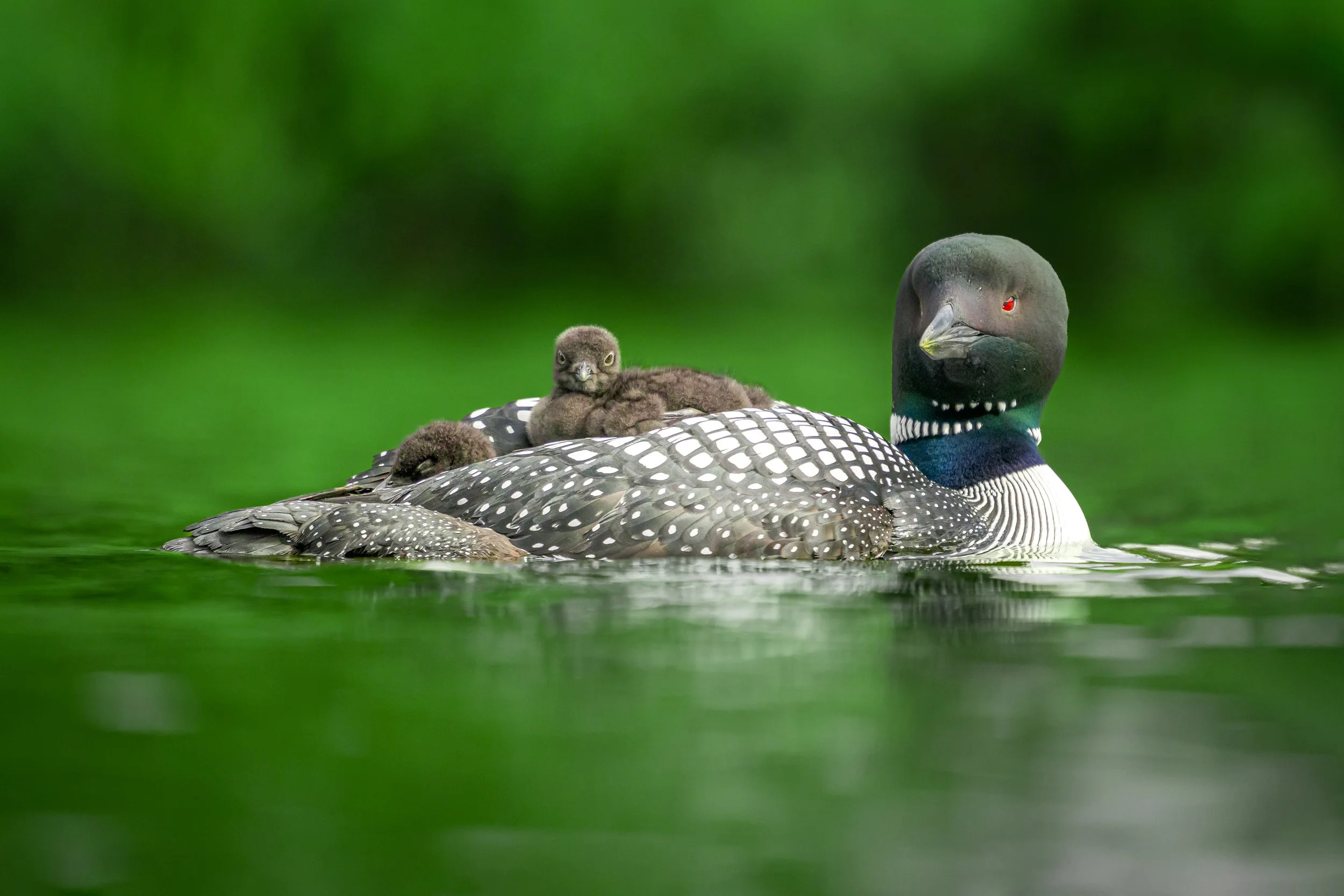 Kayak Photography — PhotoWILD Magazine | The Only Resource on ...