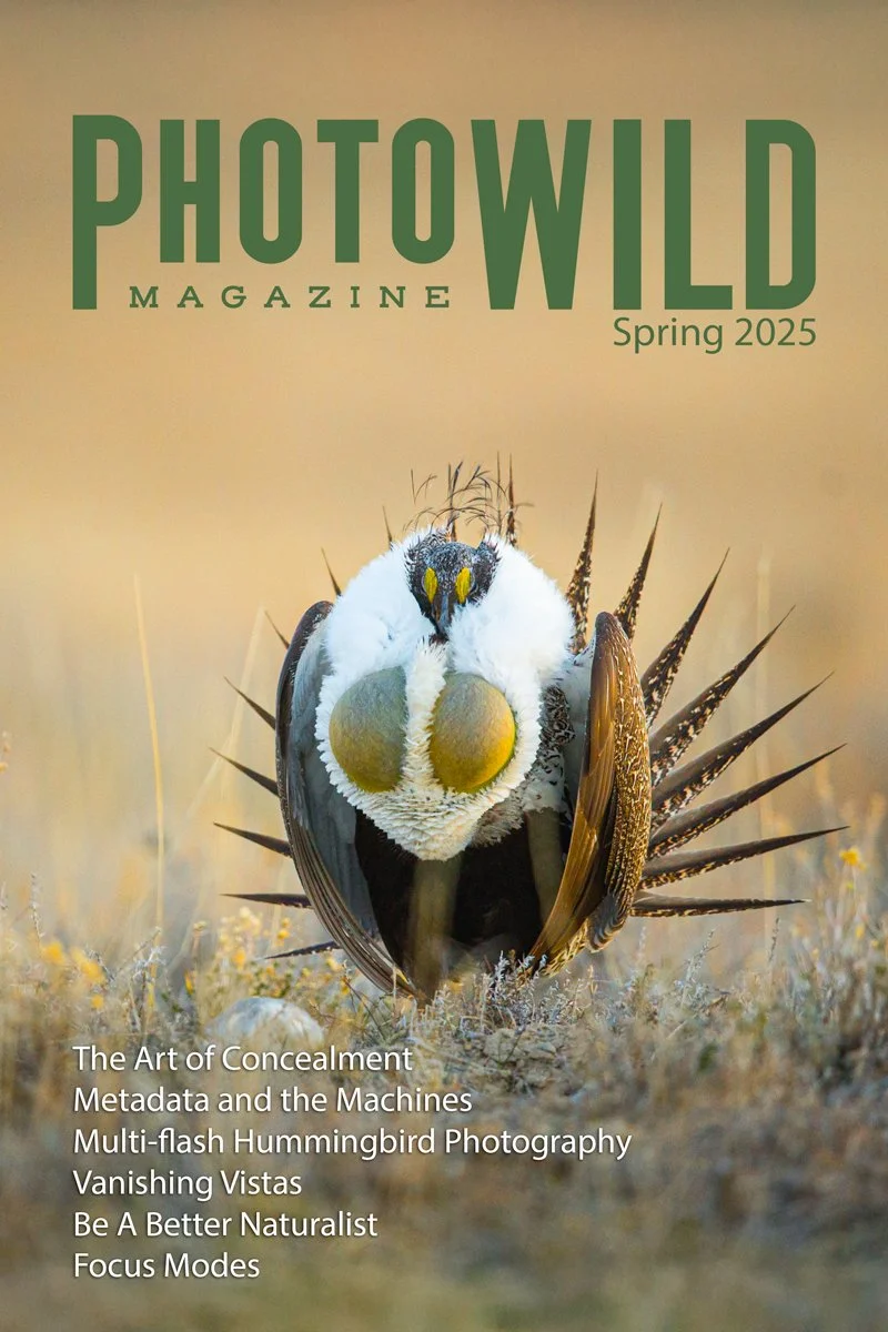 PhotoWILD Magazine: Wildlife Photography Fieldcraft & Animal Behavior ...