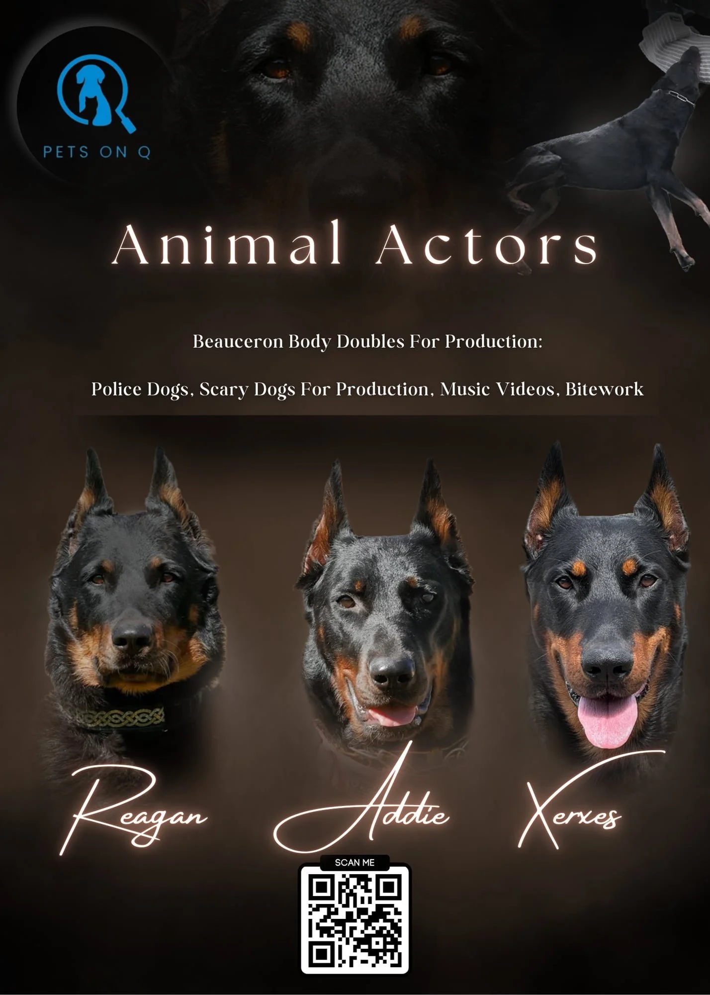 Royale Beaucerons is a California Beauceron breeder producing stable ...