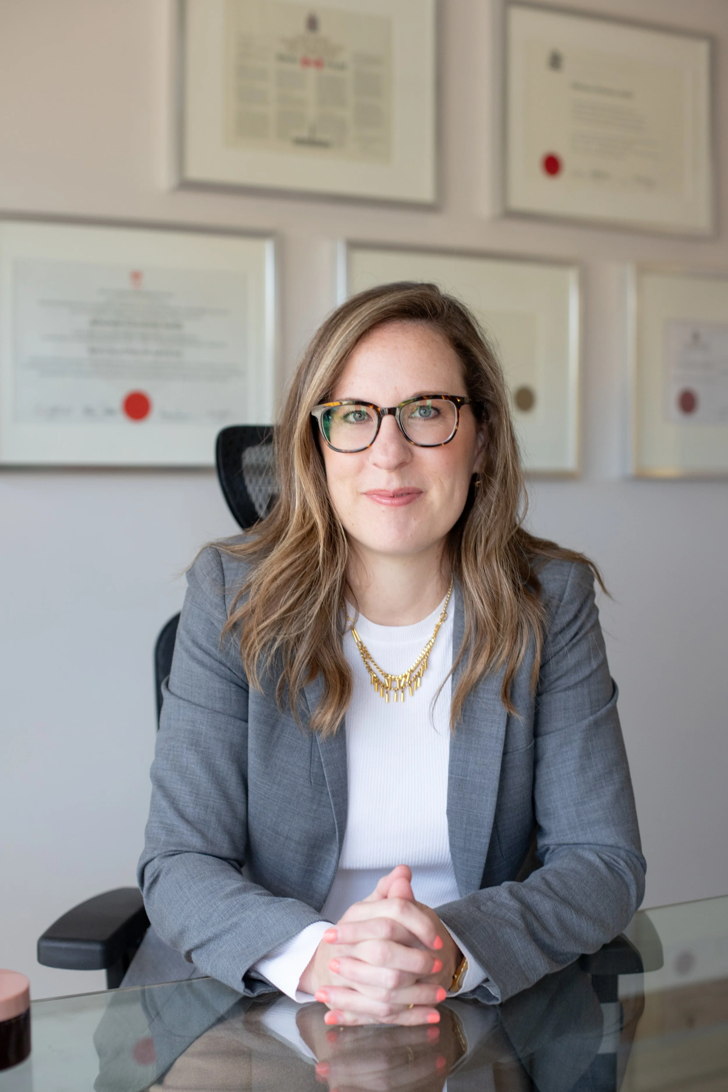 smith immigration law