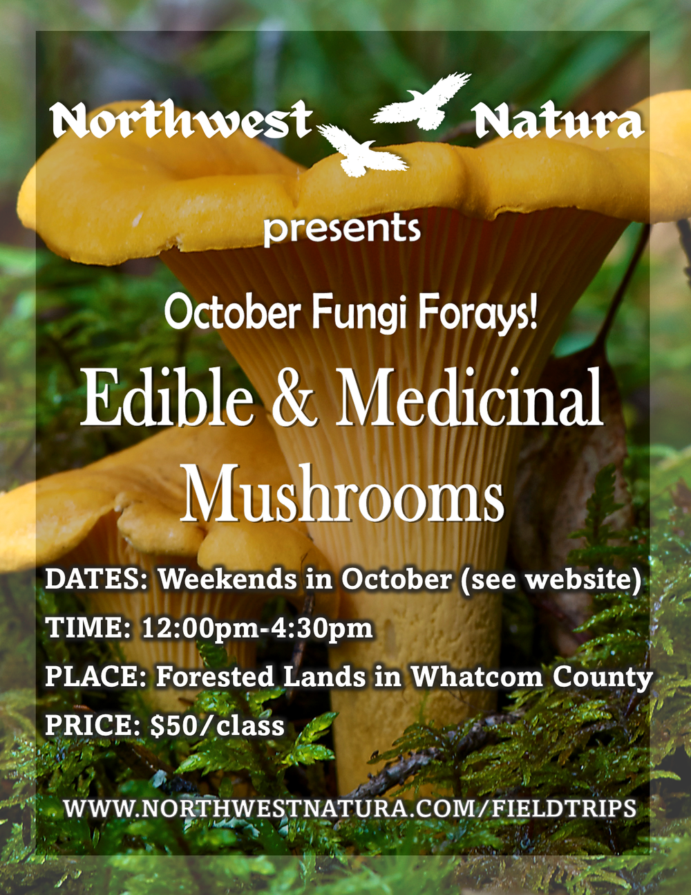 Northwest Natura-Upcoming Events