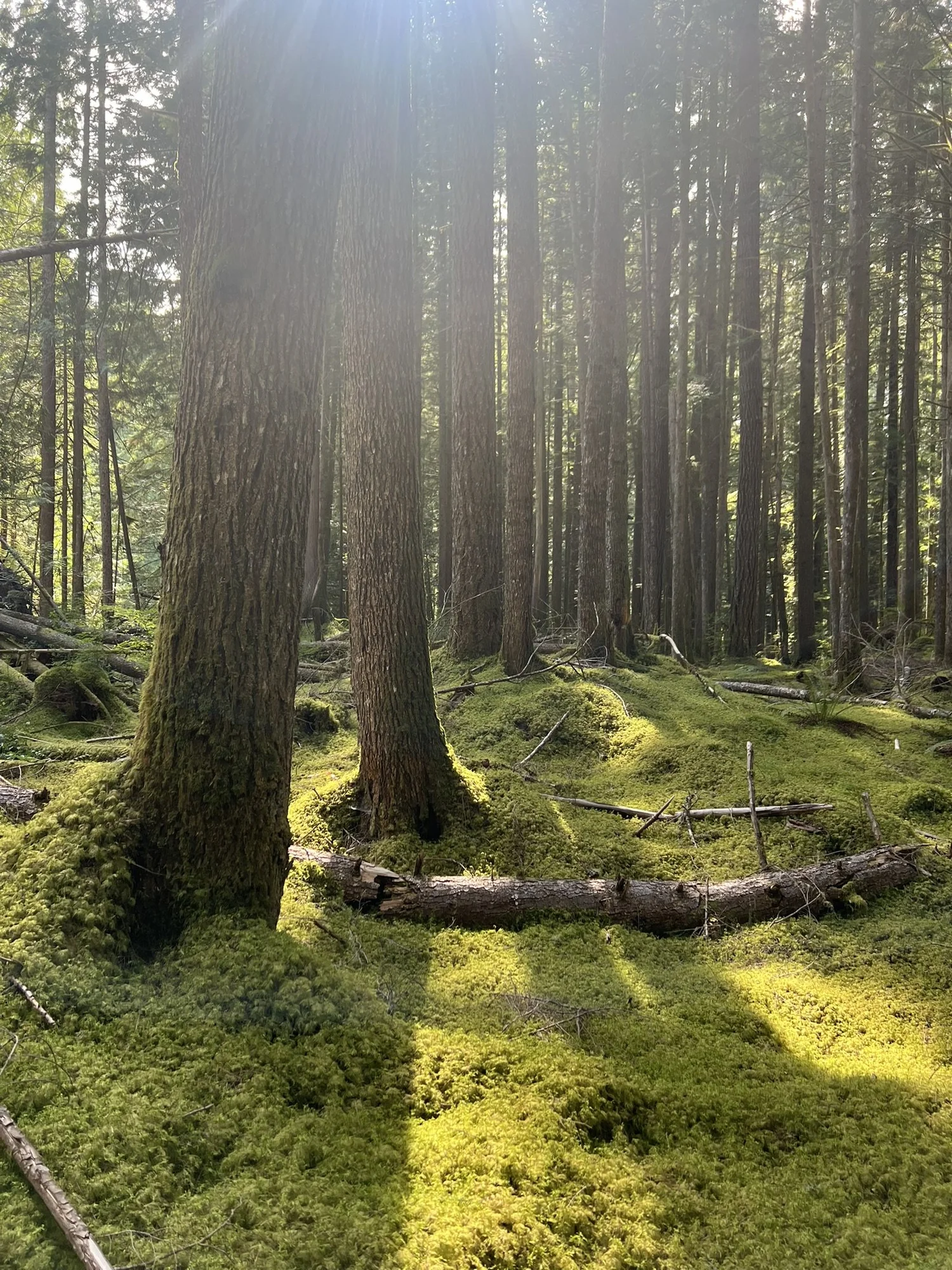 Northwest Natura-Upcoming Events