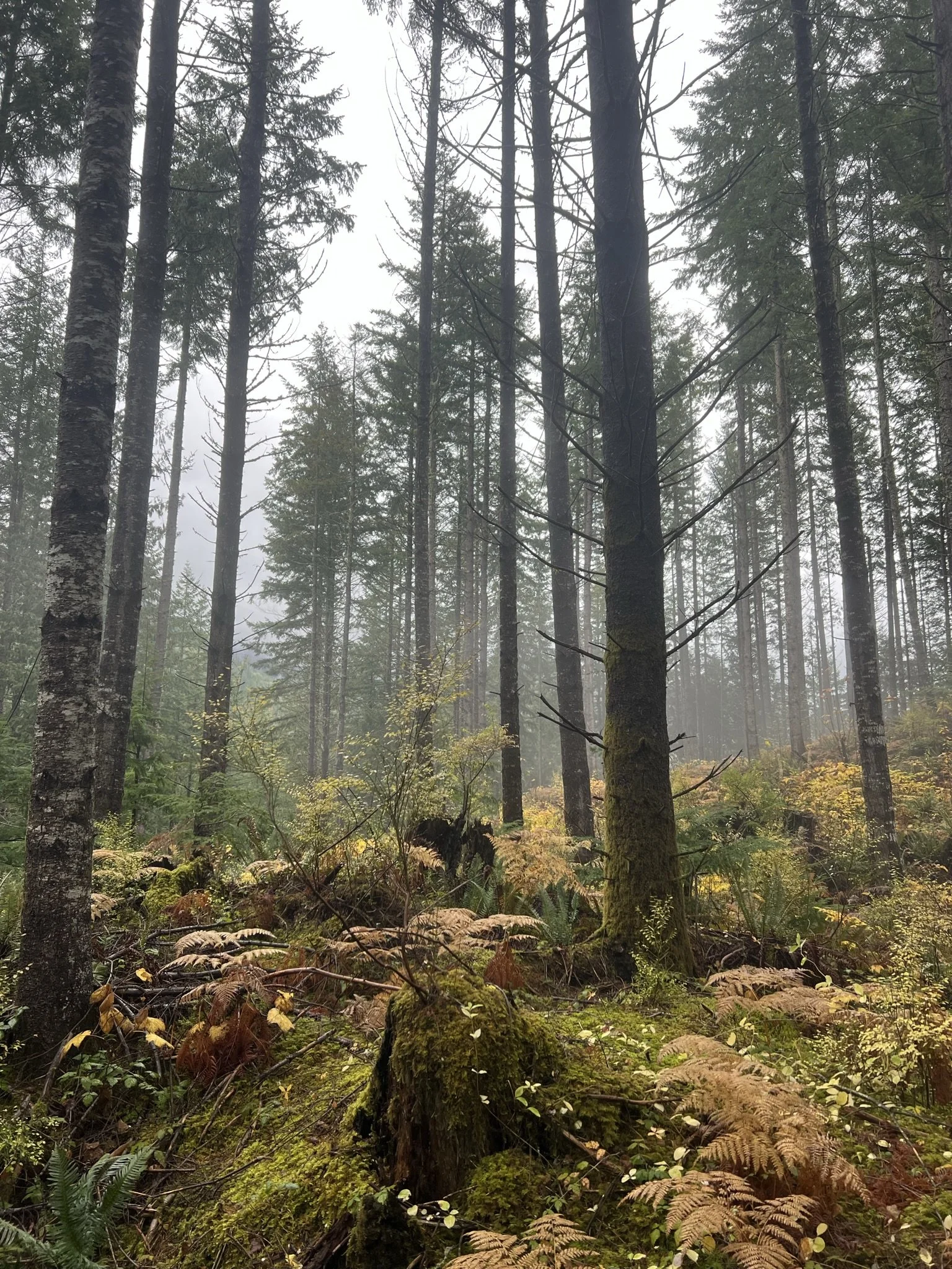 Northwest Natura-Northwest Natura Mission to Provide Outdoor Education ...