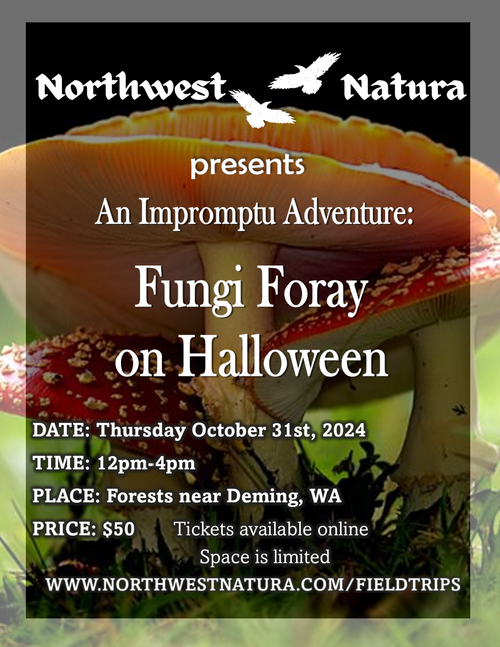 Northwest Natura-Upcoming Events