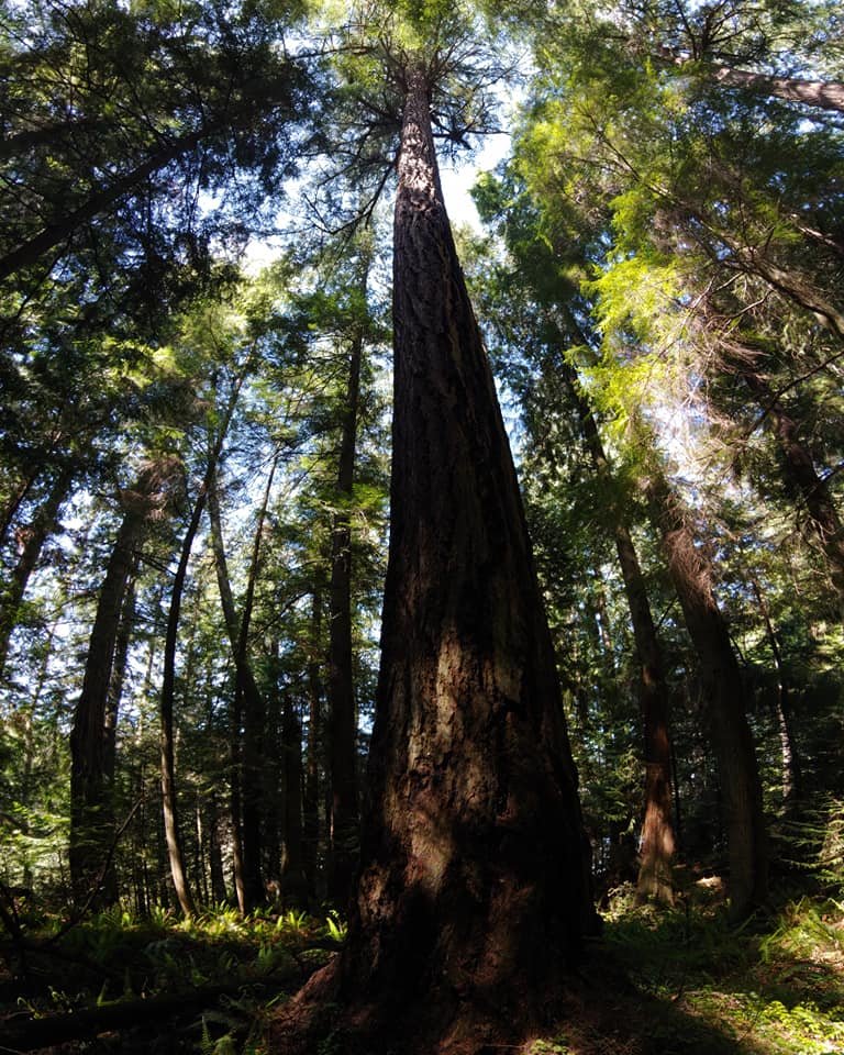 Northwest Natura-Private and Custom Courses