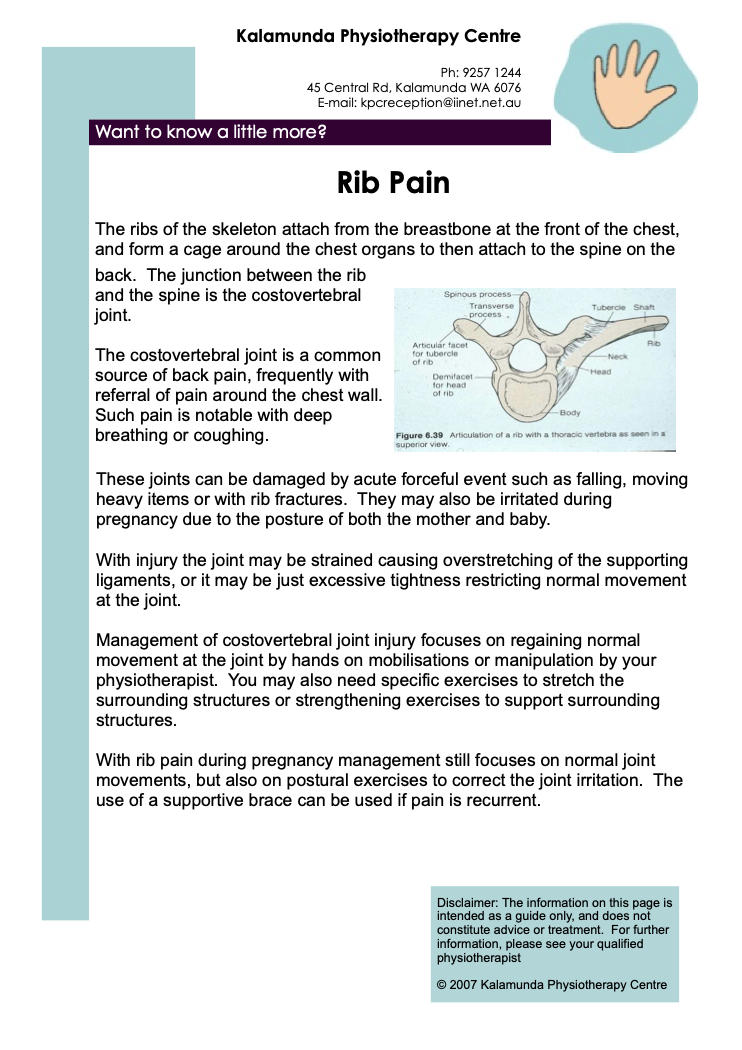 Back, Spine & Core Injuries — Kalamunda Physio