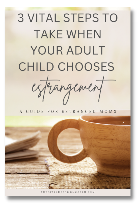 Child Estrangement Next Steps — The Estranged Mom Coach™