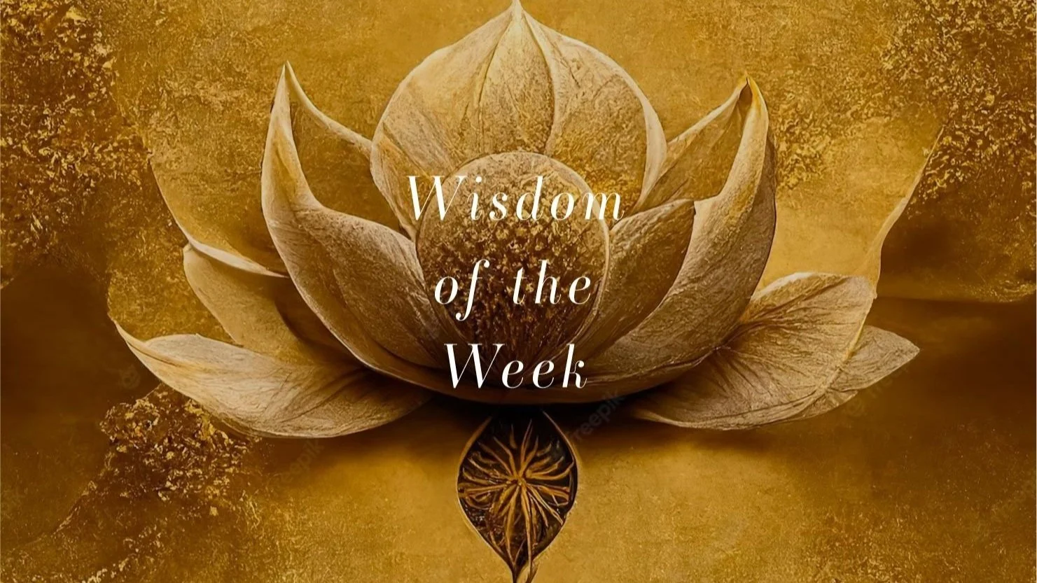 Dharmic Living - Ayurveda Wisdom