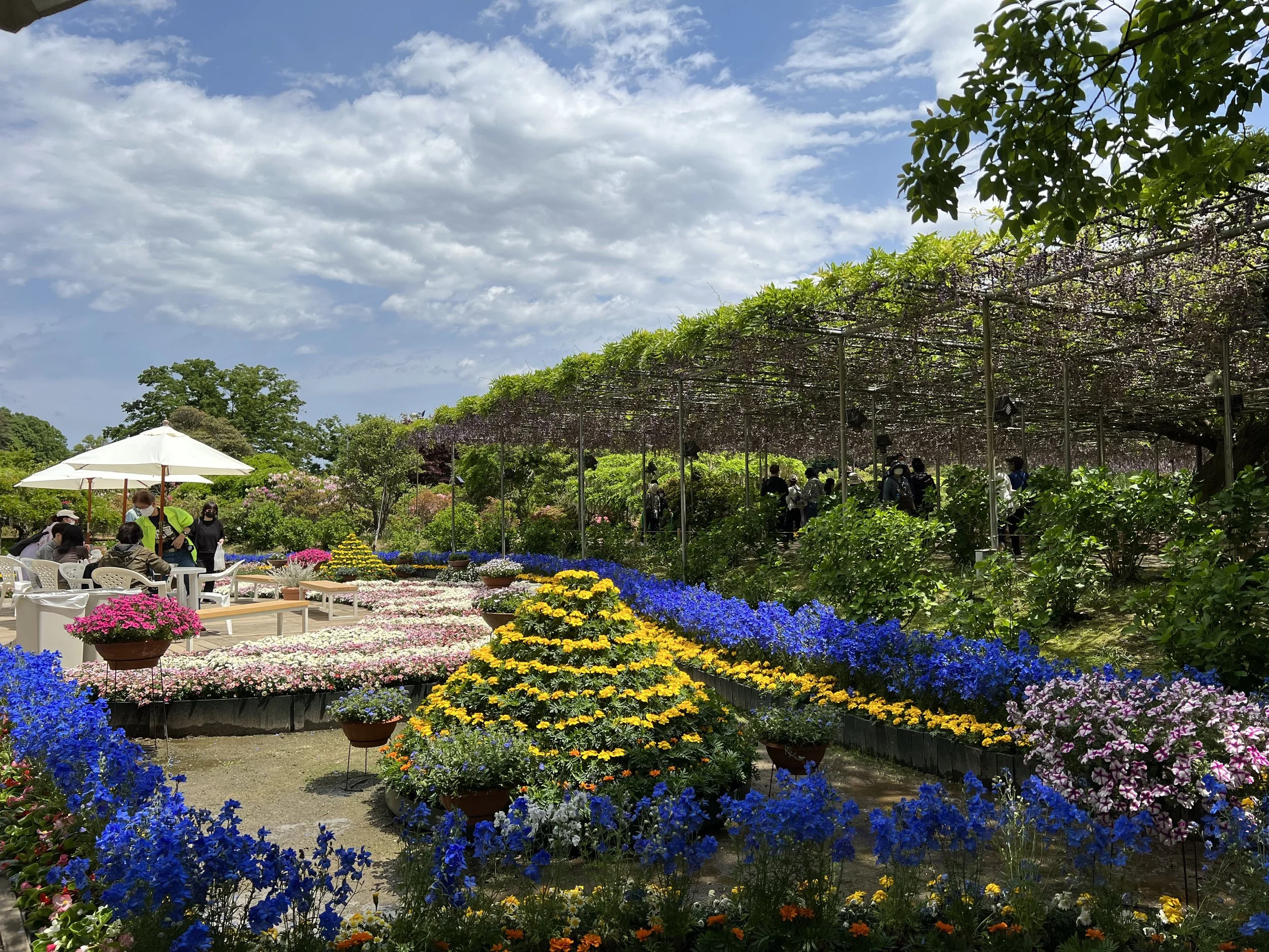 Ashikaga Flower Park Wedding