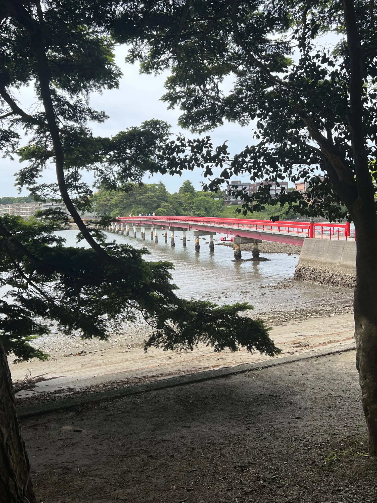 Discover Matsushima: Complete Travel Guide to Japan’s Scenic Bay ...