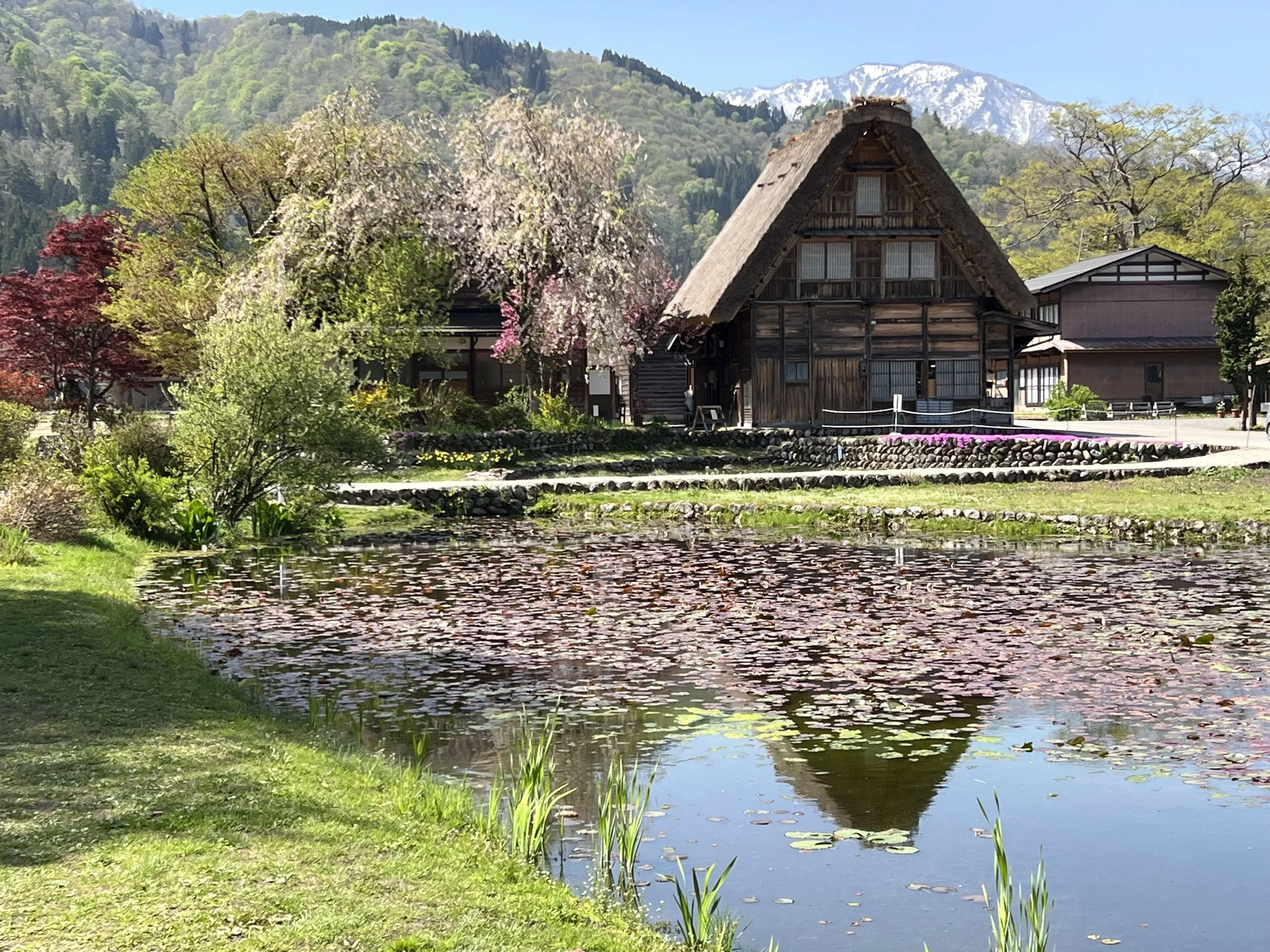 Why You Should Visit Shirakawa-go in Spring: A Complete Guide — Travely ...
