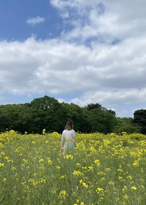 Day Trip Guide to Hitachi Seaside Park: 10 Suggestions for a Memorable ...