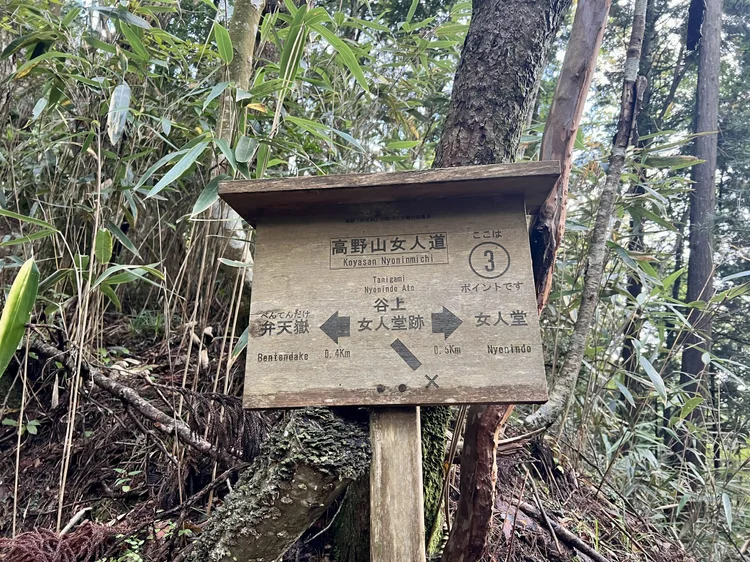 Everything You Need to Know Before Visiting Koyasan — Travely Notes