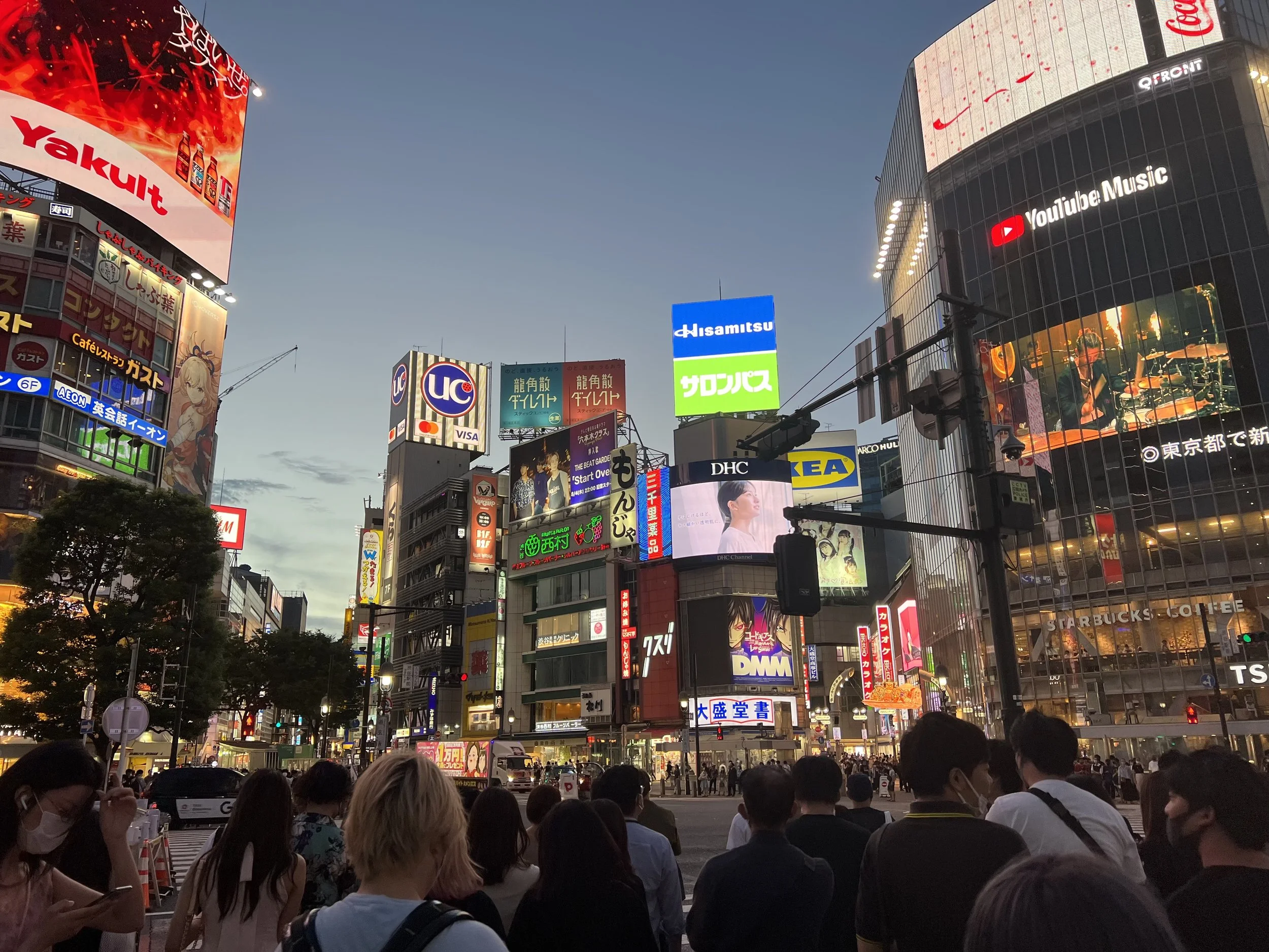 Where to Stay in Tokyo: Best Areas and Recommended Hotels by Budget ...