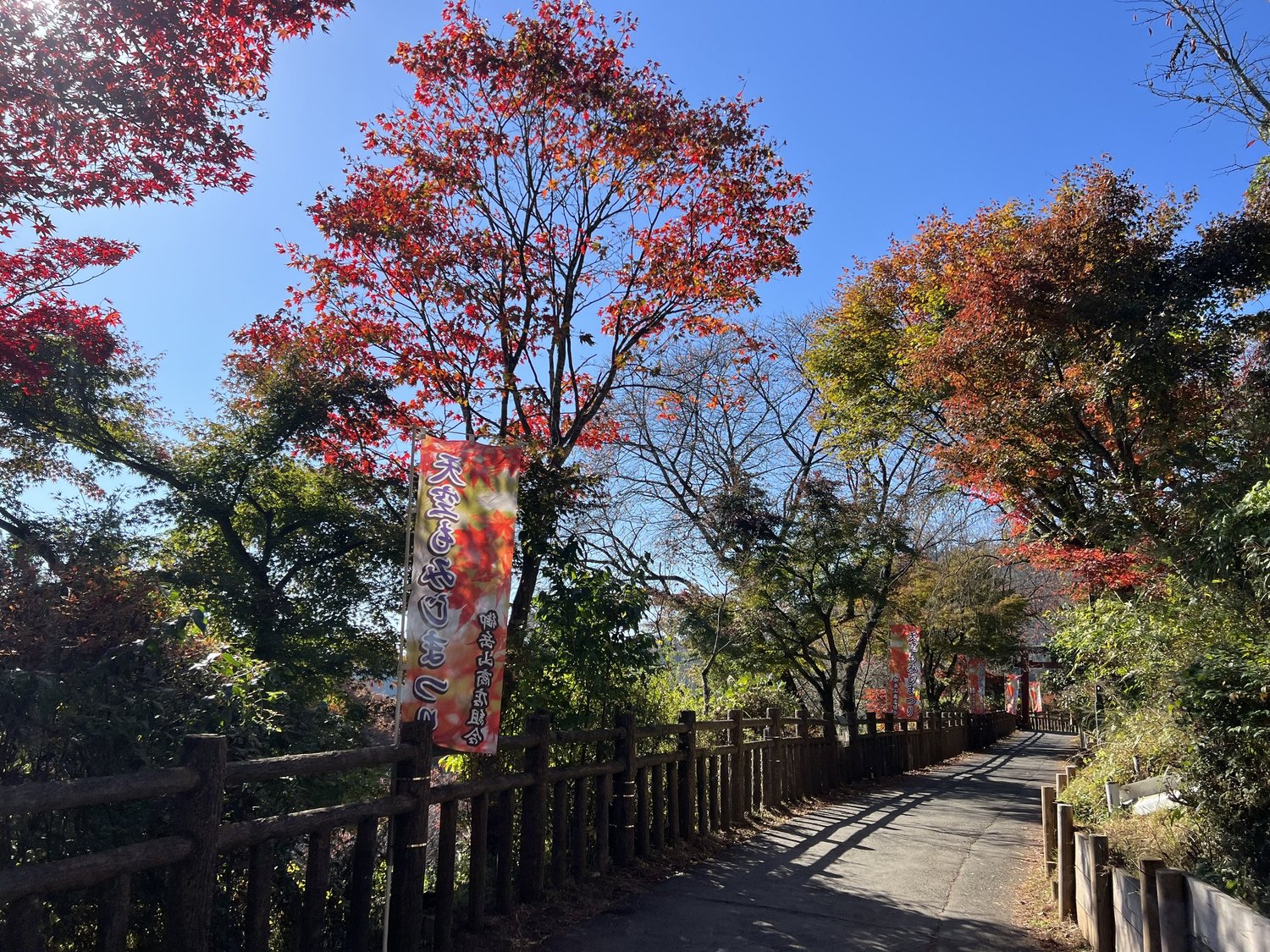 One Day in Mitake: A Perfect Autumn Escape from Tokyo — Travely Notes