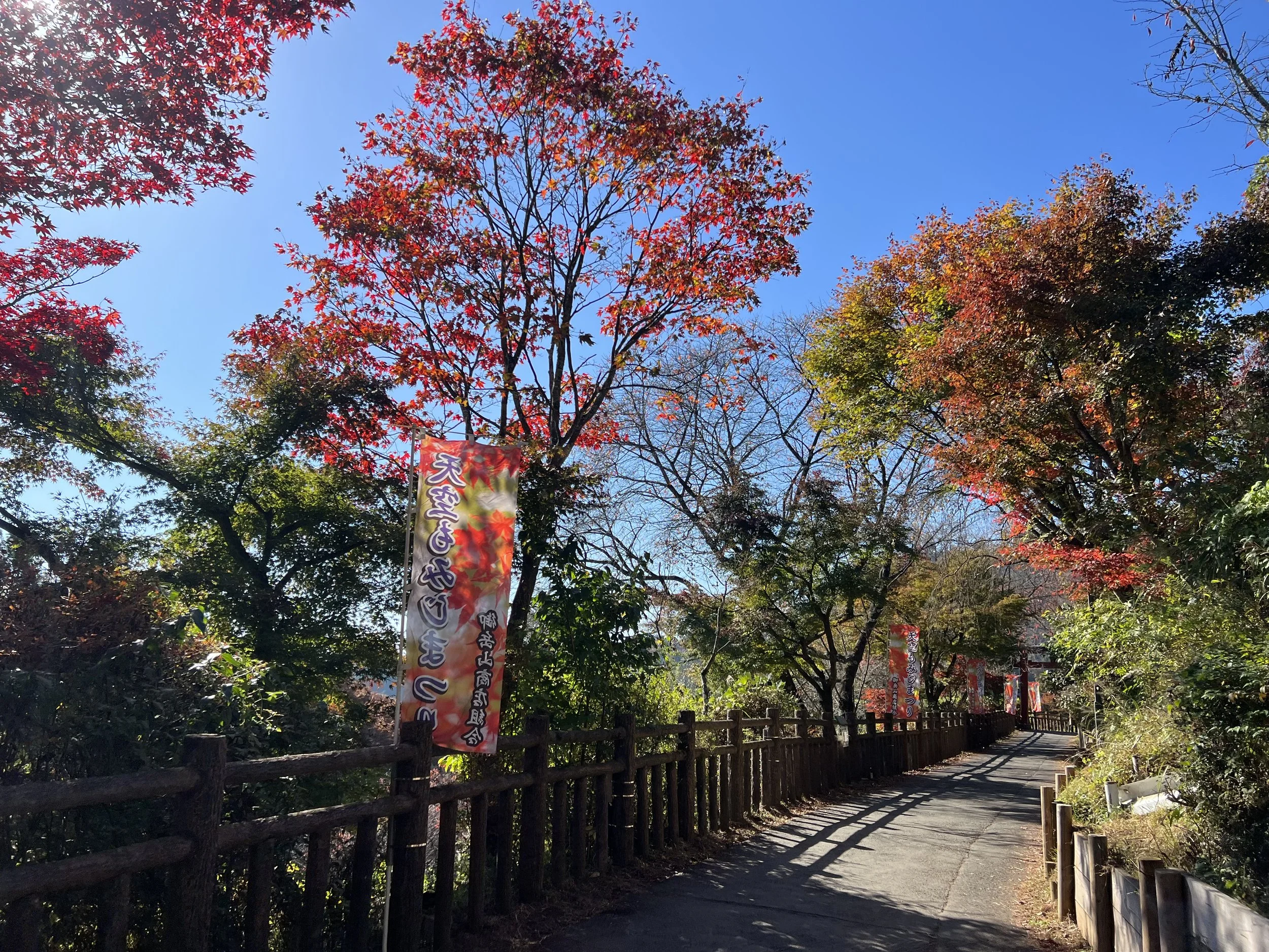 One Day in Mitake: A Perfect Autumn Escape from Tokyo — Travely Notes