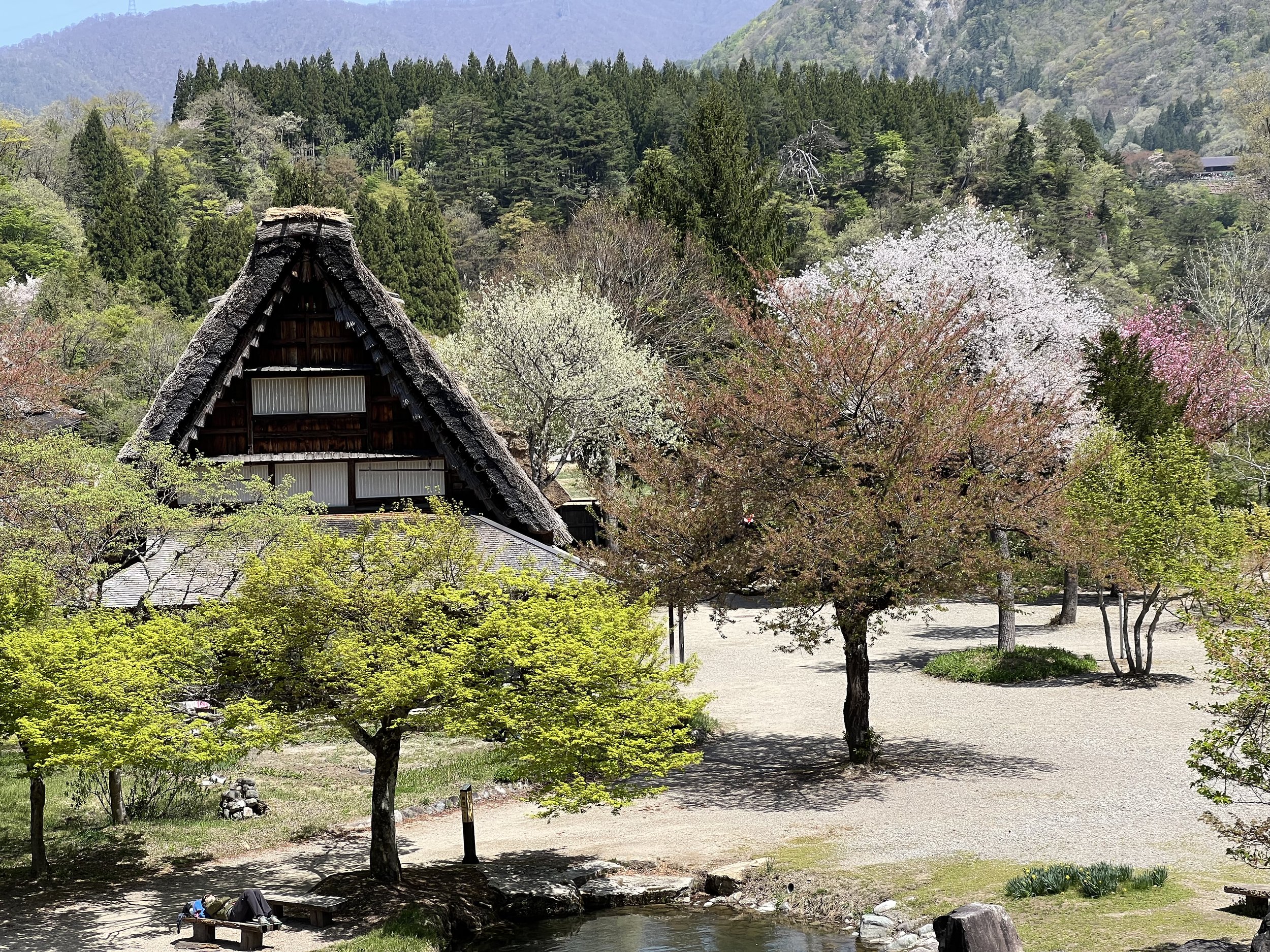 Why You Should Visit Shirakawa-go in Spring: A Complete Guide — Travely ...