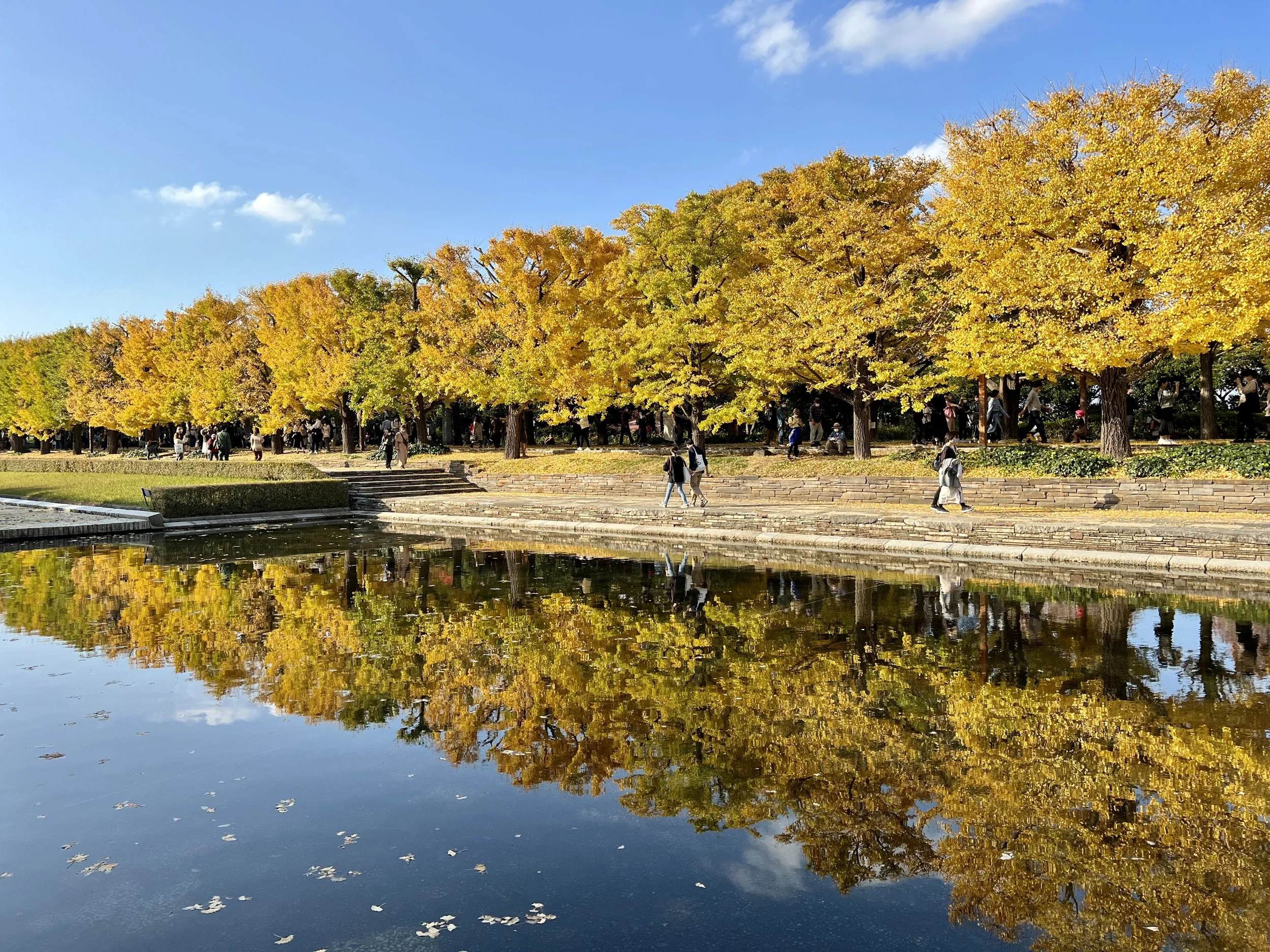 15 Pictures that Will Make You Want to Visit Showa Kinen Park in Autumn ...