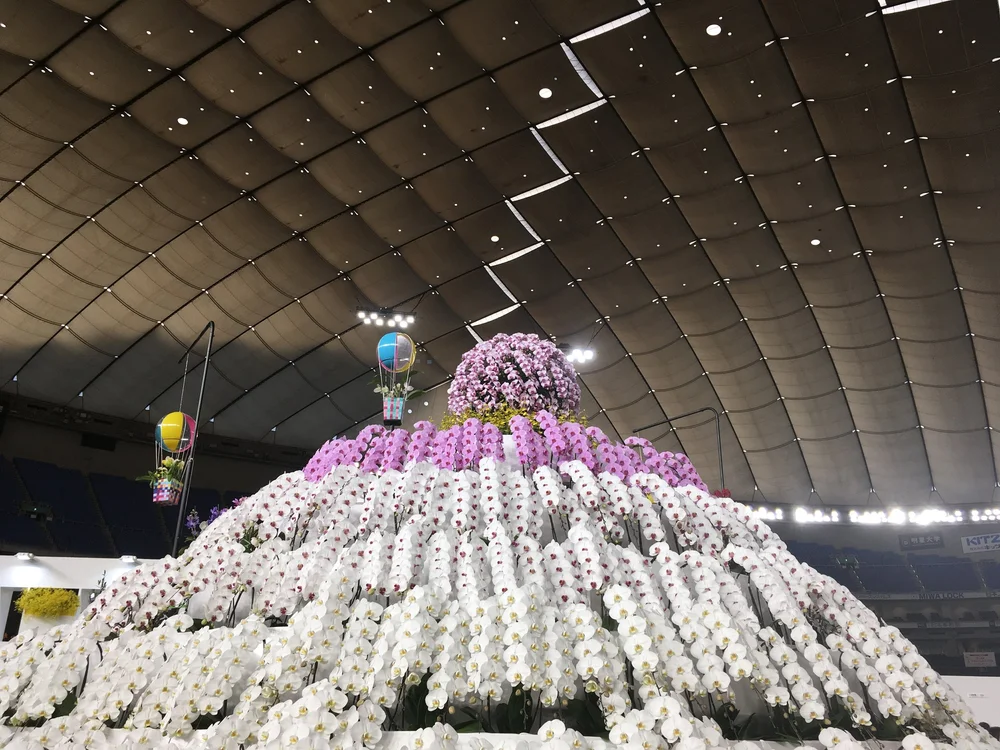 Japan Grand Prix International Orchid and Flower Show — Travely Notes