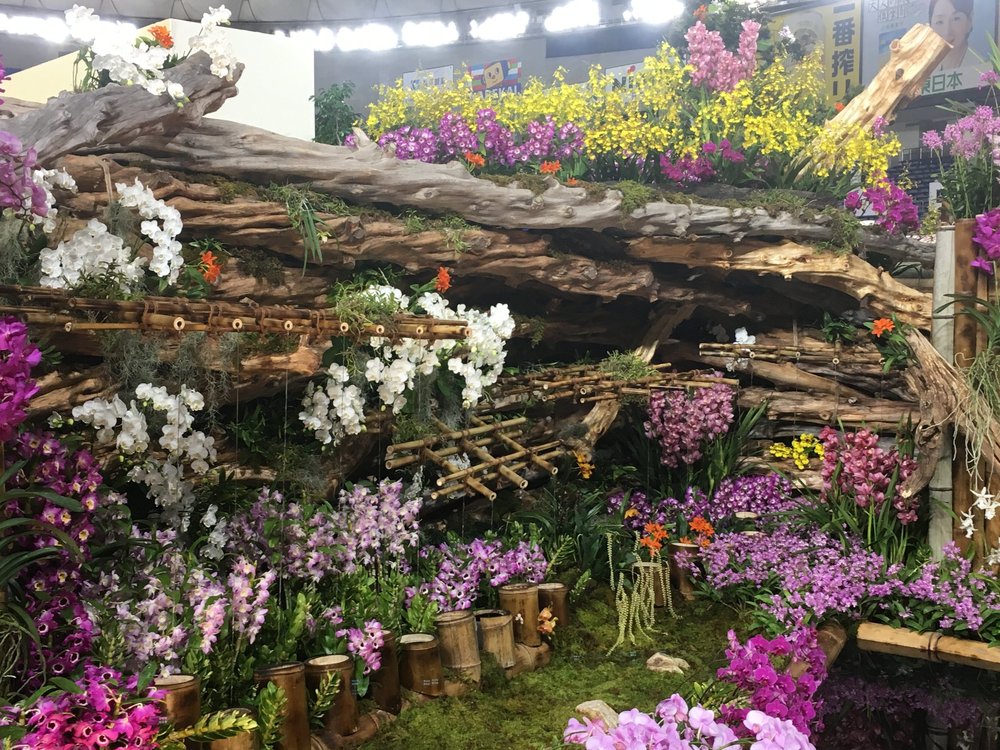Japan Grand Prix International Orchid and Flower Show — Travely Notes