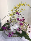 Japan Grand Prix International Orchid and Flower Show — Travely Notes