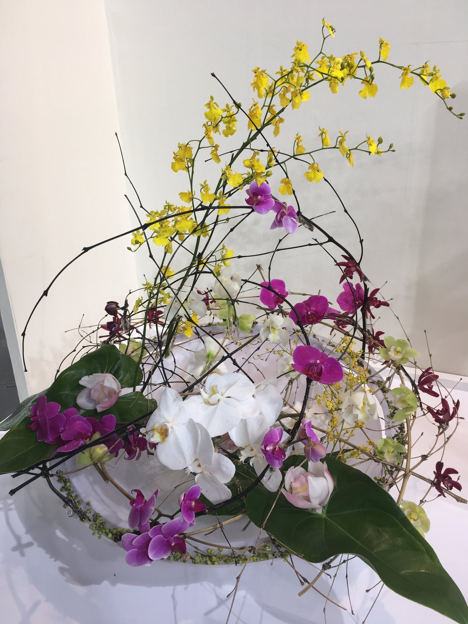 Japan Grand Prix International Orchid and Flower Show — Travely Notes