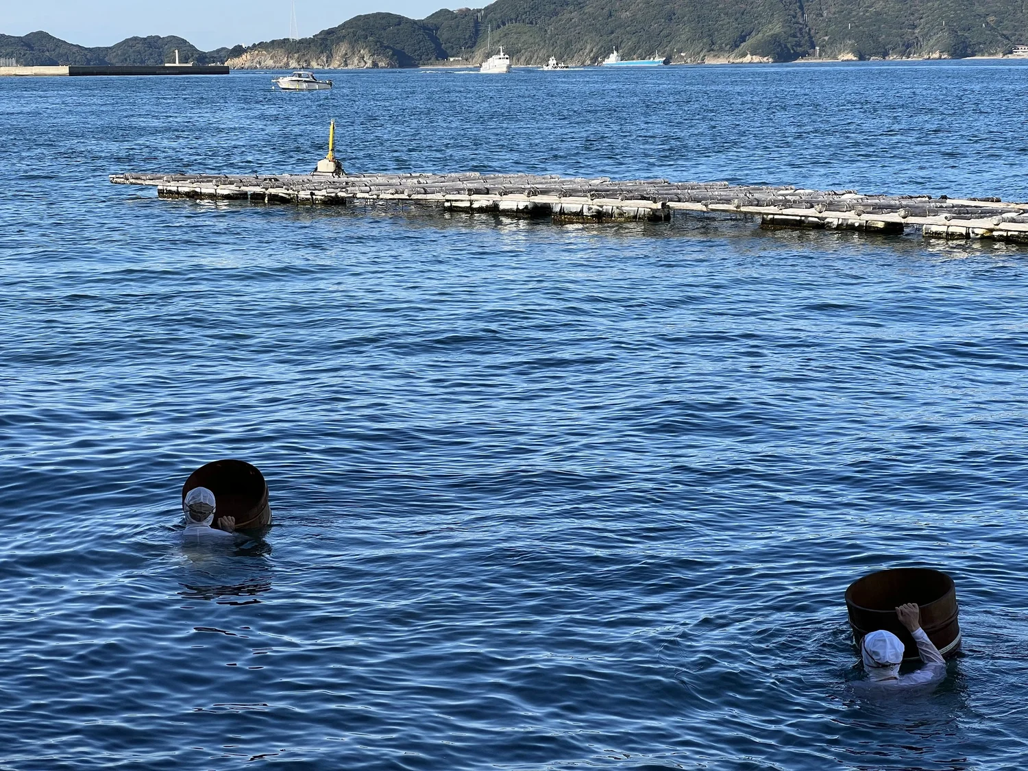 Mikimoto Pearl Island, Toba: Discover Japan’s Iconic Pearl Destination ...