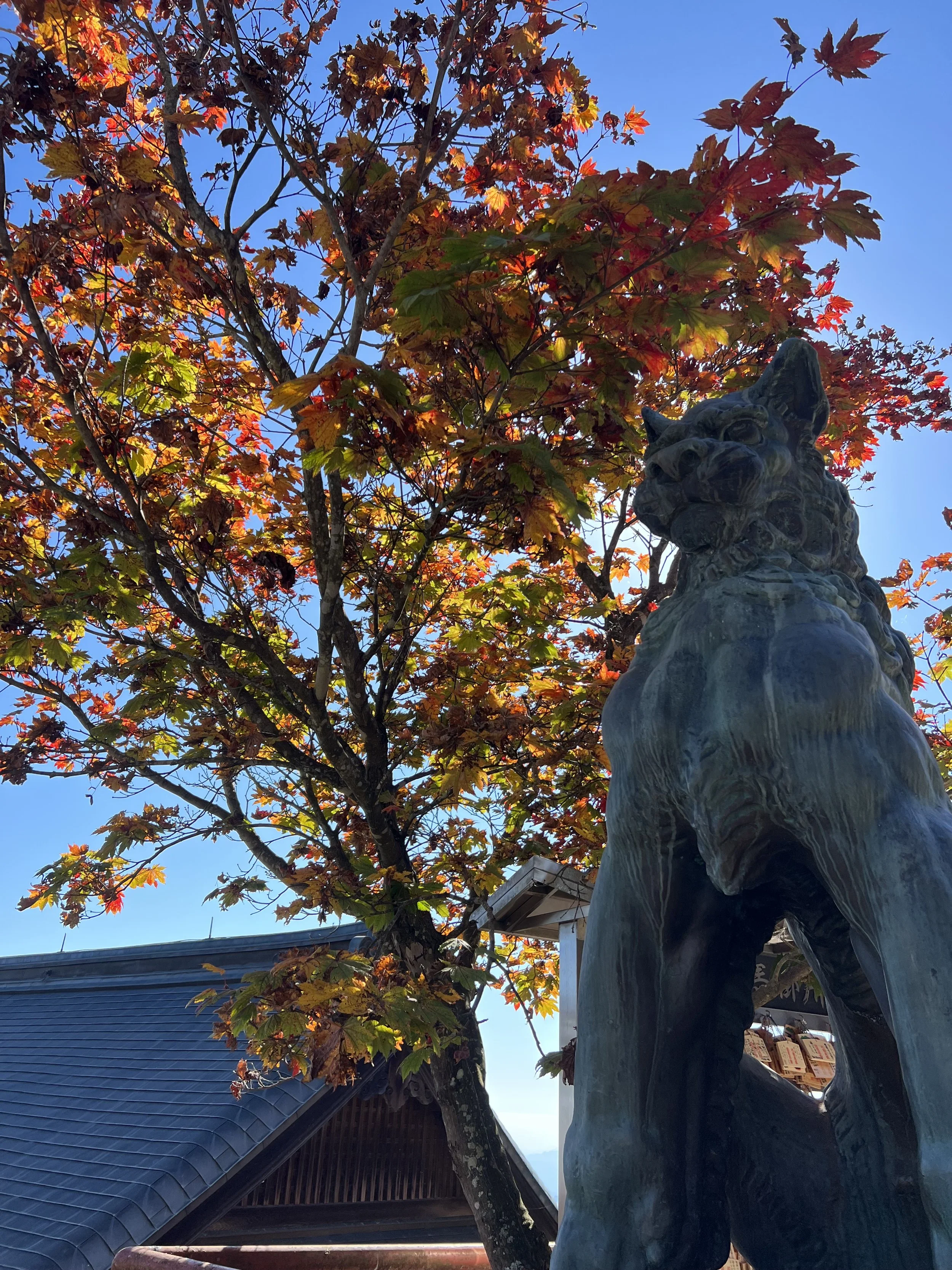 One Day in Mitake: A Perfect Autumn Escape from Tokyo — Travely Notes