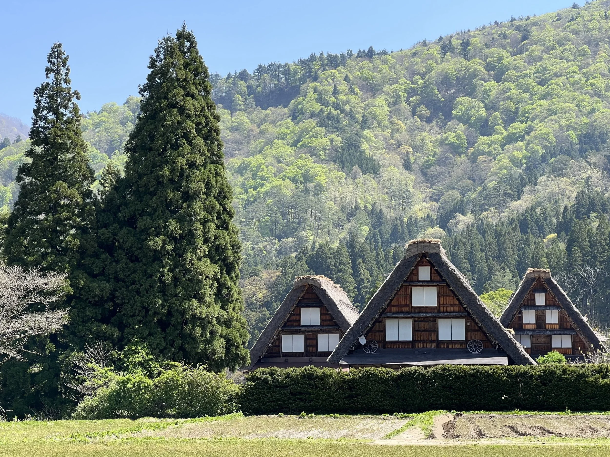 Why You Should Visit Shirakawa-go in Spring: A Complete Guide — Travely ...
