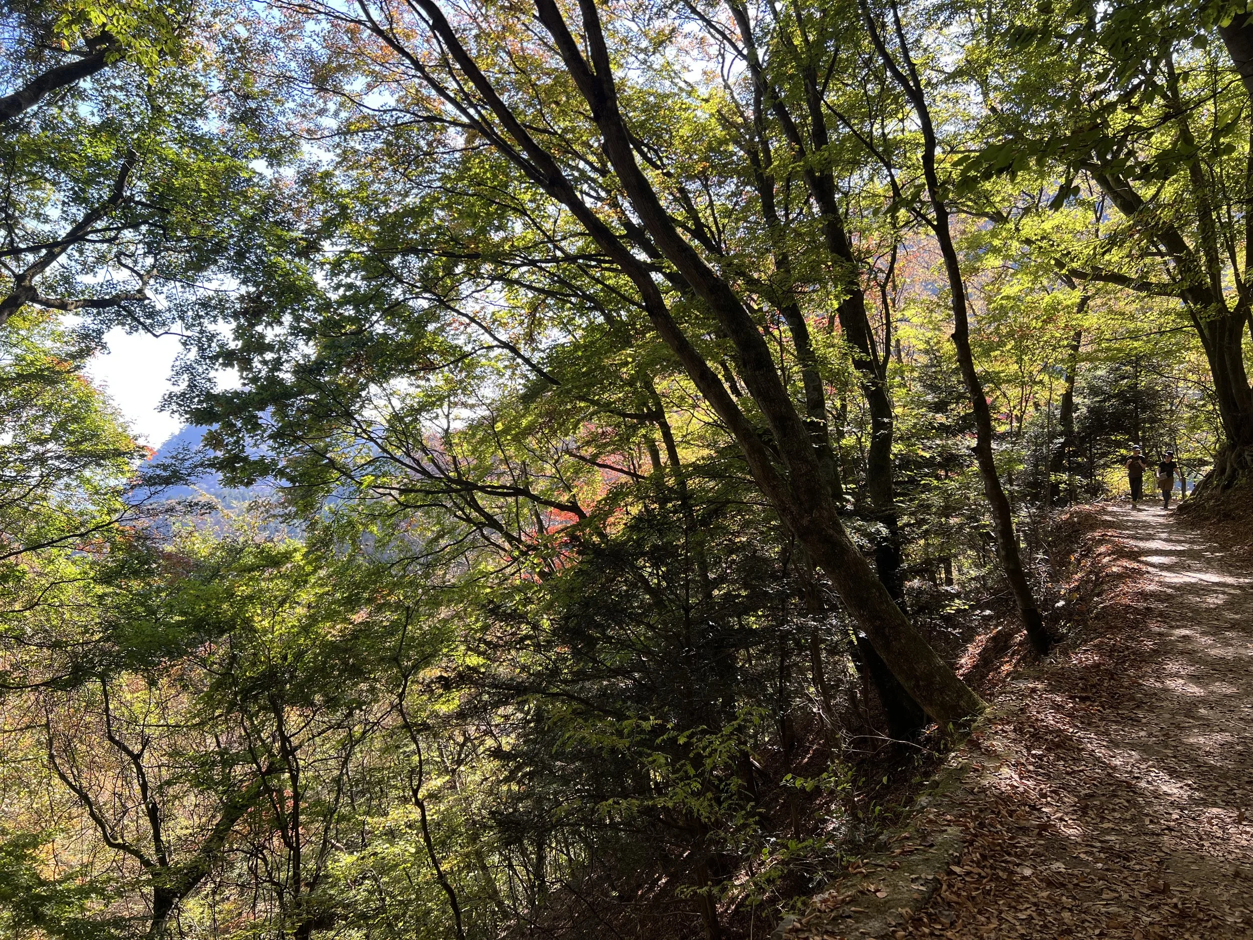 One Day in Mitake: A Perfect Autumn Escape from Tokyo — Travely Notes