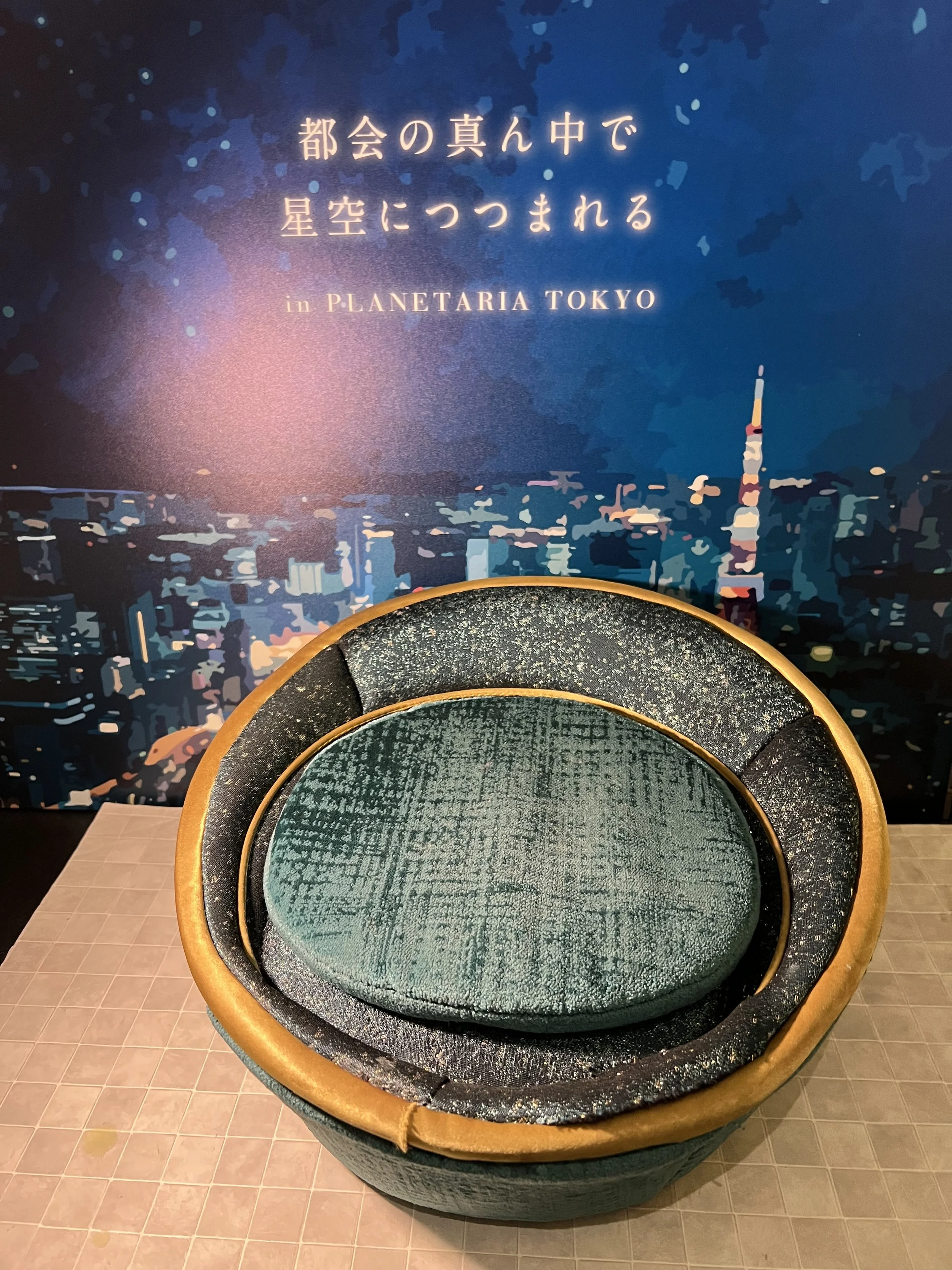 21 Best Things to Do in Tokyo This Winter — Travely Notes