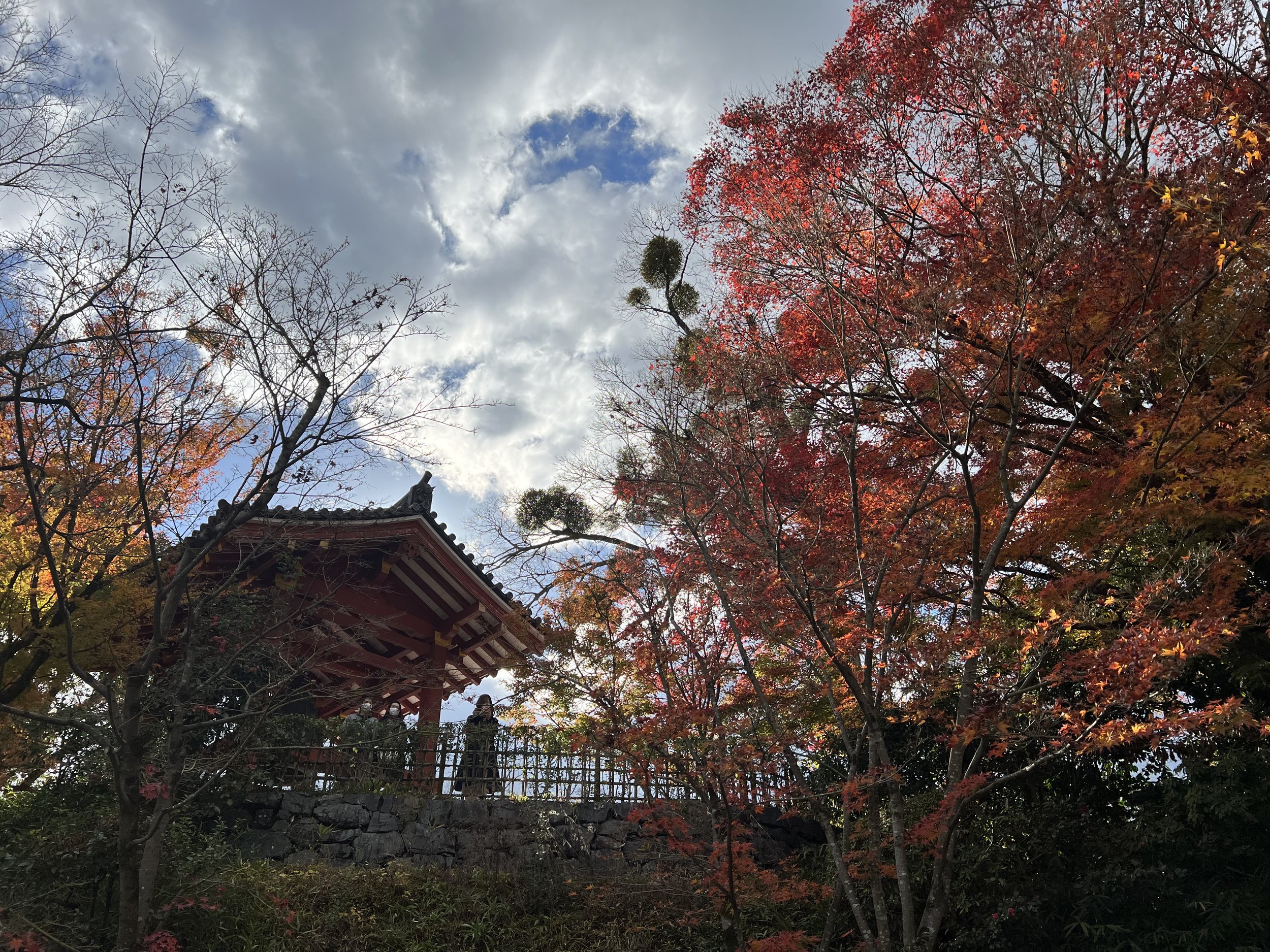 Day Trip to Uji from Kyoto: Perfect Itinerary for Temple and Matcha ...