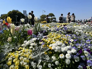 5 Flower-Viewing Day Trips from Tokyo You'll Love in Spring — Travely Notes