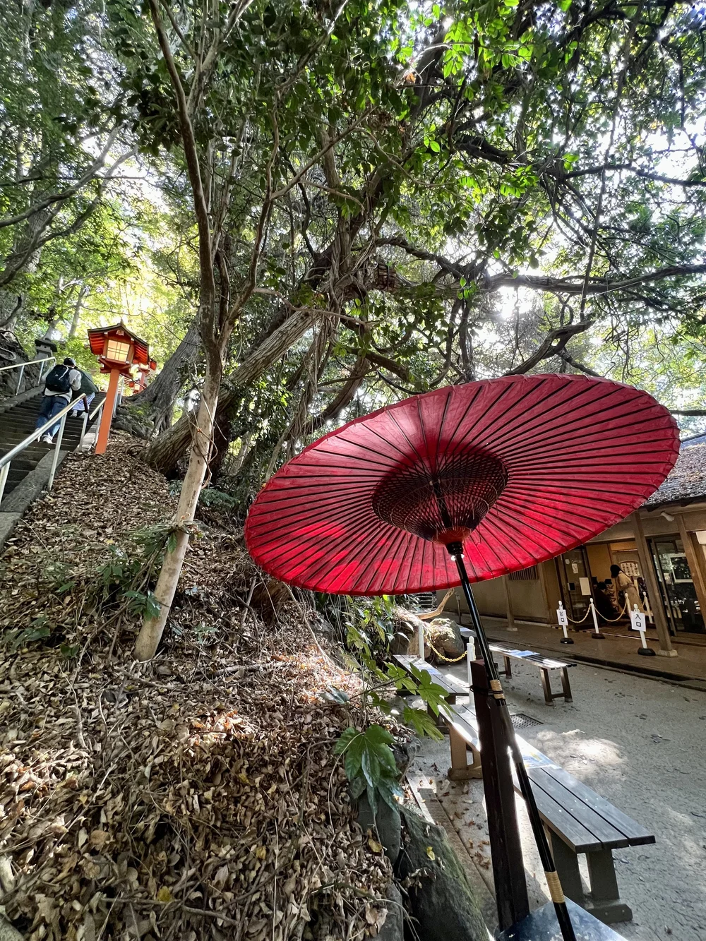 Todoroki Valley: a Hidden Getaway in the Suburbs of Tokyo — Travely Notes