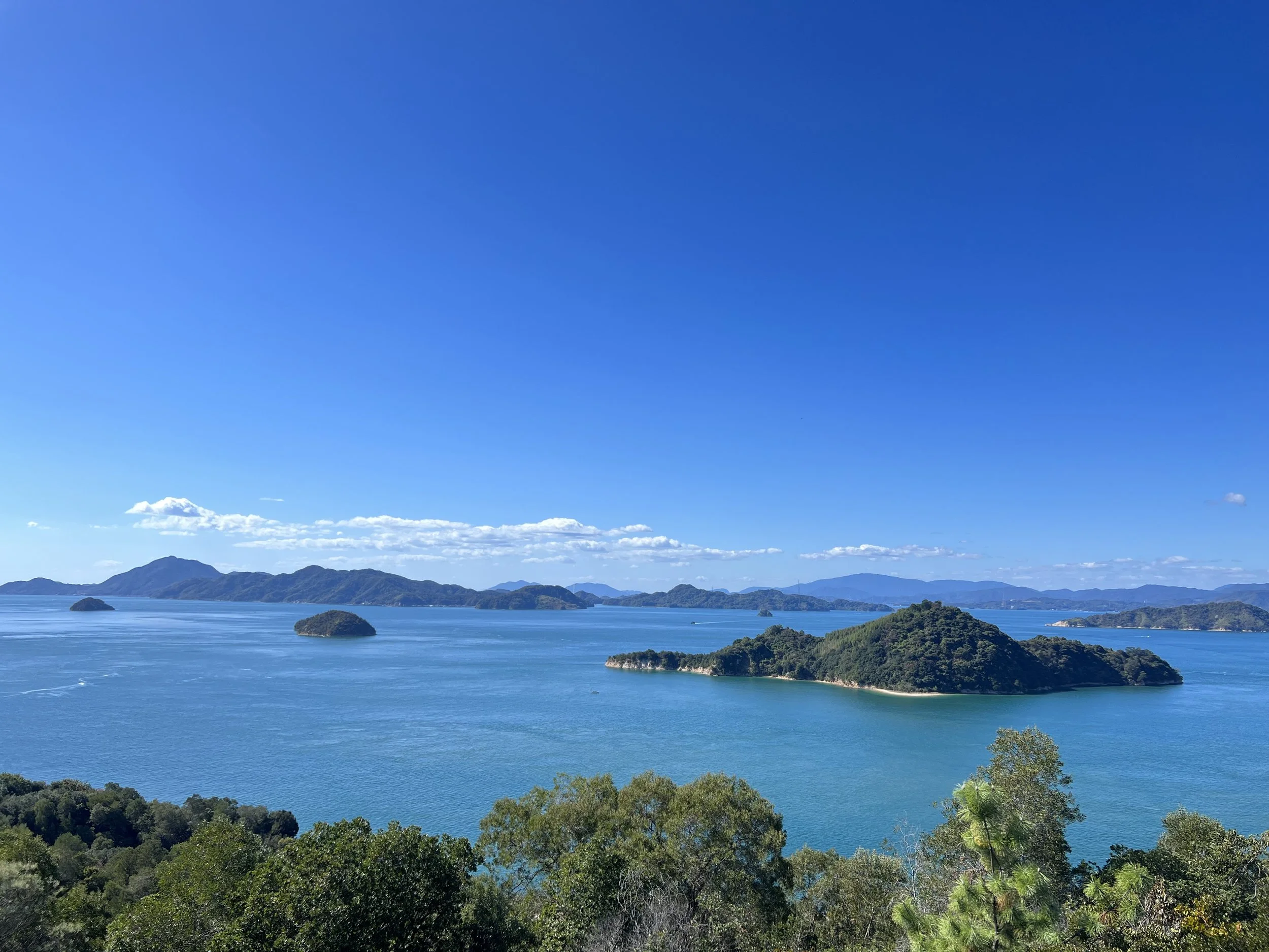 Okunoshima Rabbit Island, Japan: Everything You Need to Know — Travely ...