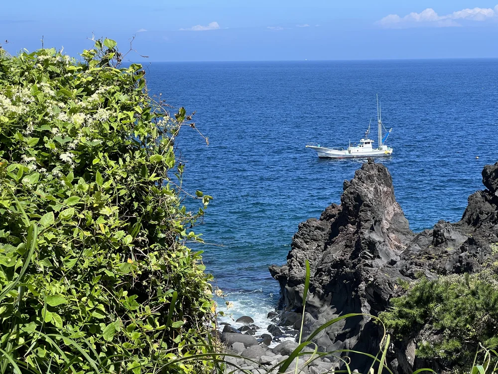 A Nature Day Trip to Izu: Jogasaki Coast and Mount Omuro Itinerary — Travely Notes