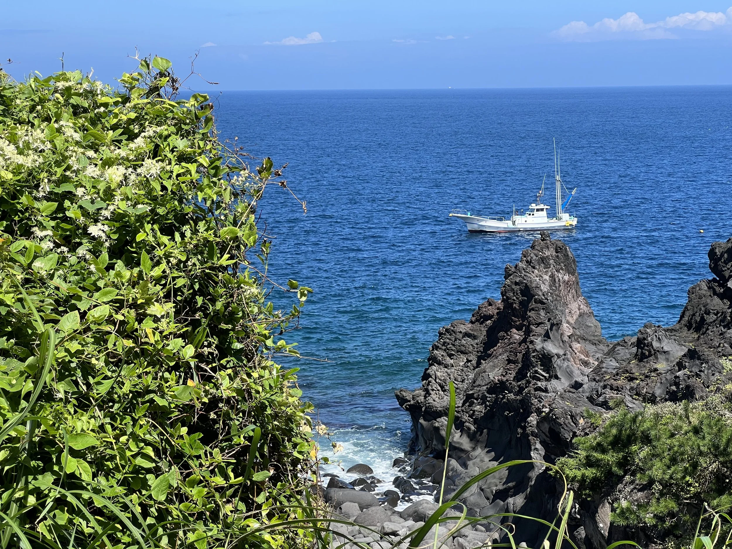 A Nature Day Trip to Izu: Jogasaki Coast and Mount Omuro Itinerary ...