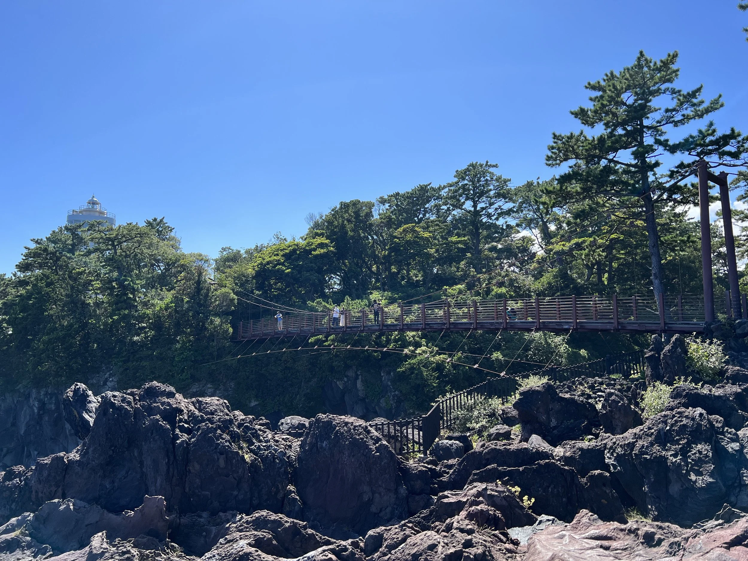 A Nature Day Trip to Izu: Jogasaki Coast and Mount Omuro Itinerary ...