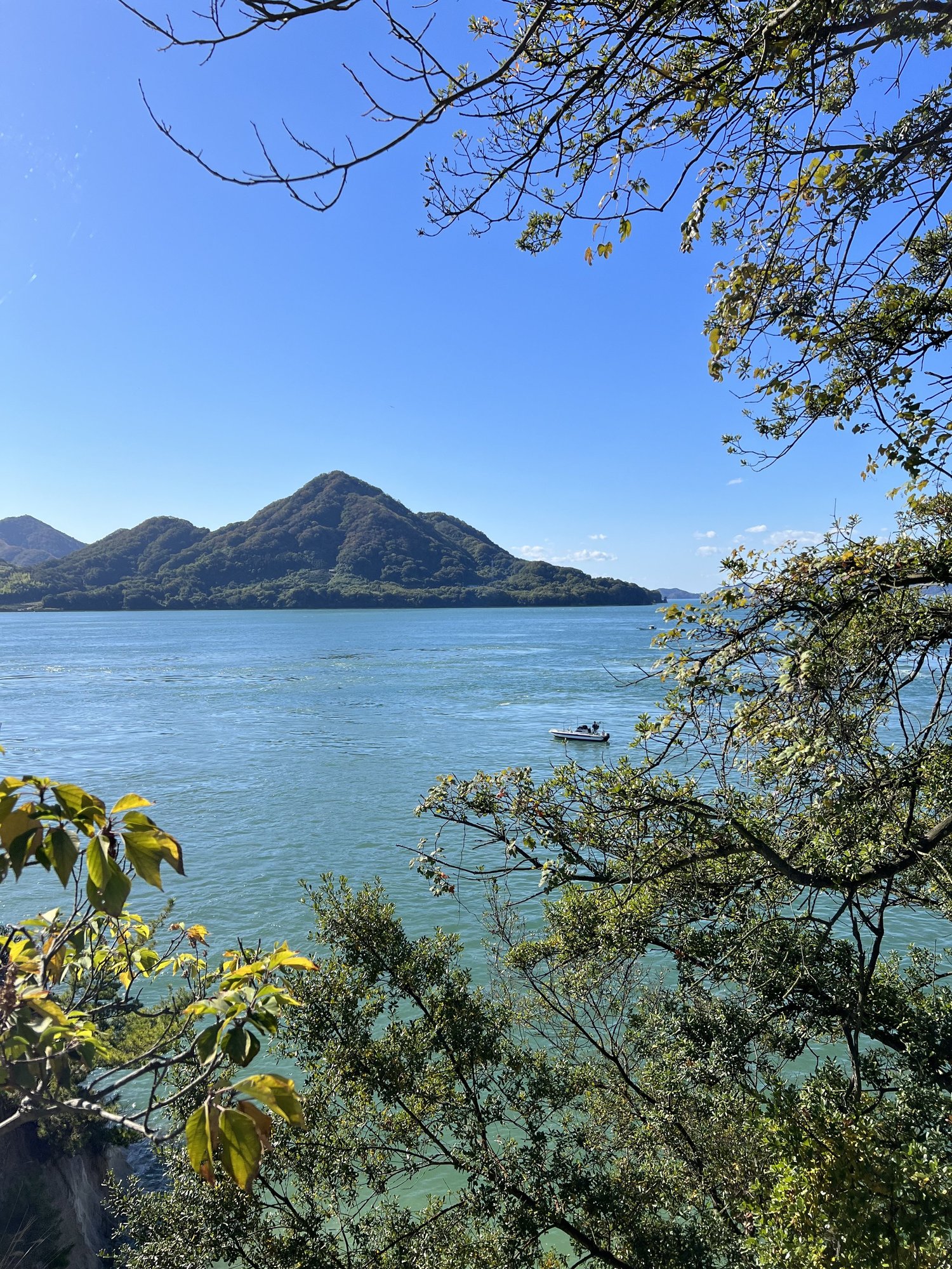 Okunoshima Rabbit Island, Japan: Everything You Need to Know — Travely ...