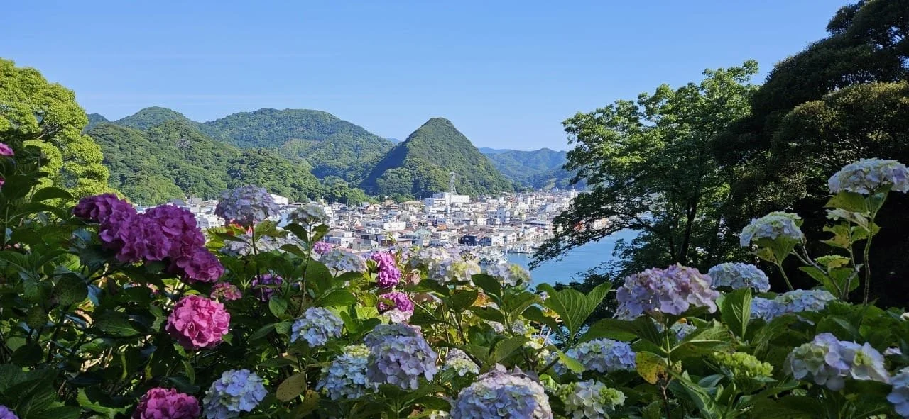 Explore Shimoda, Japan: Top Things to Do, Where to Stay and Tips ...