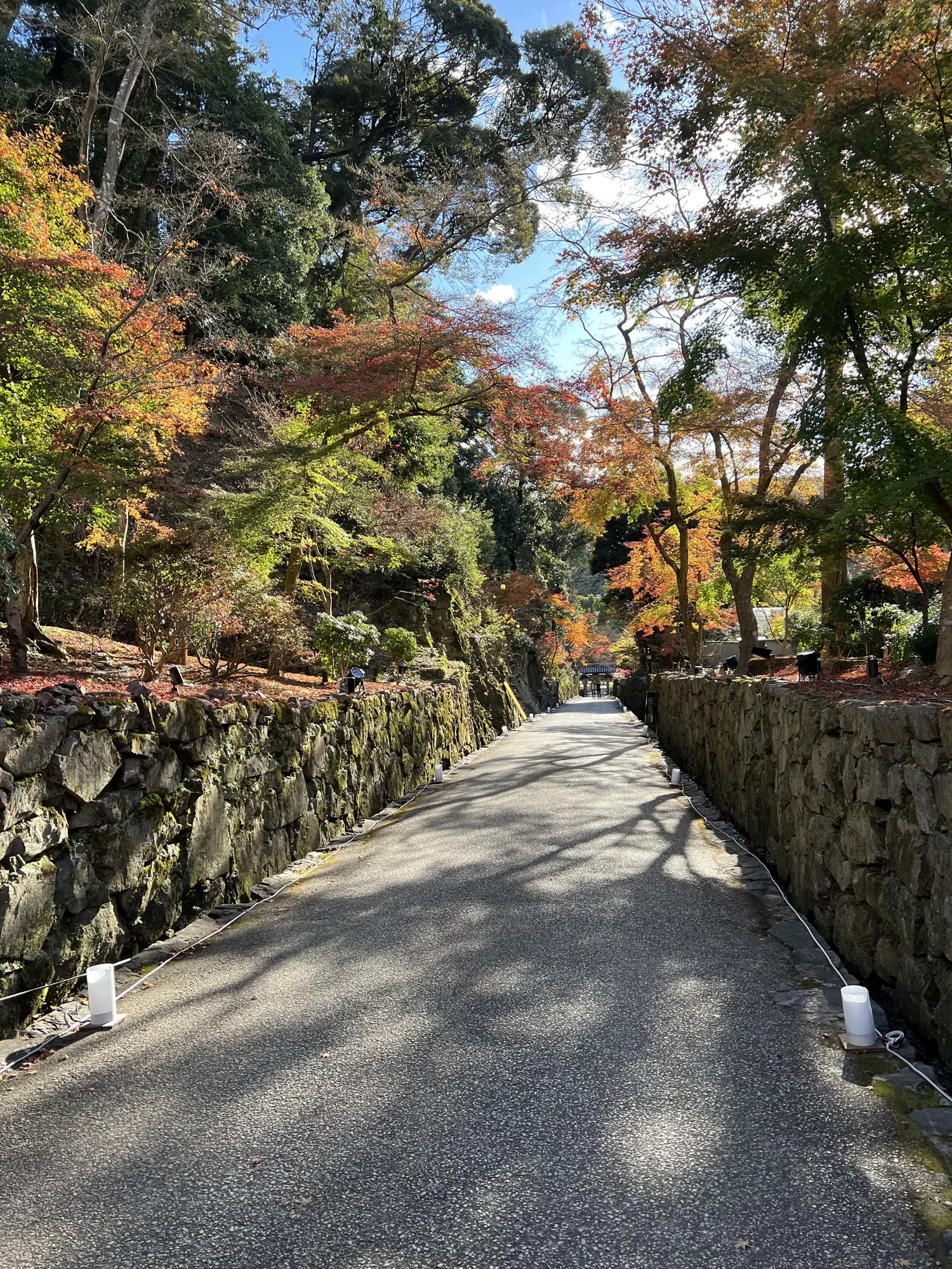 Day Trip to Uji from Kyoto: Perfect Itinerary for Temple and Matcha ...