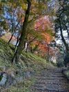 Autumn in Kyoto: A Complete One-Day Walking Itinerary in Higashiyama ...