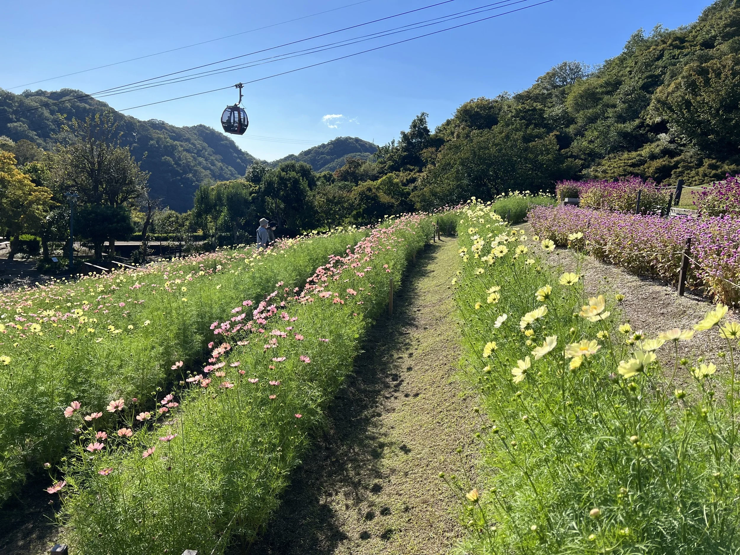 A Day in Kobe: an Exciting Day Trip Itinerary from Osaka or Kyoto ...