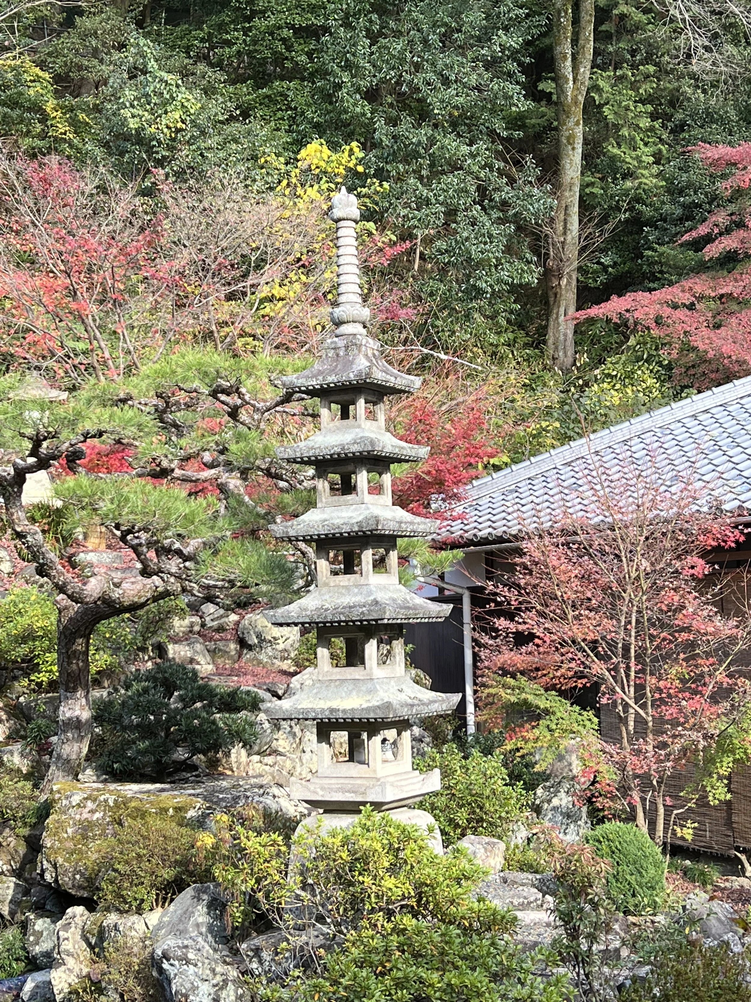 Day Trip to Uji from Kyoto: Perfect Itinerary for Temple and Matcha ...
