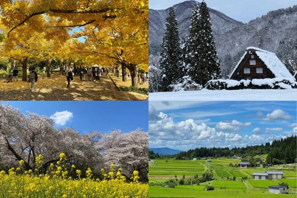 27 Essential Japan Travel Tips for First-Time Visitors: What You Need ...